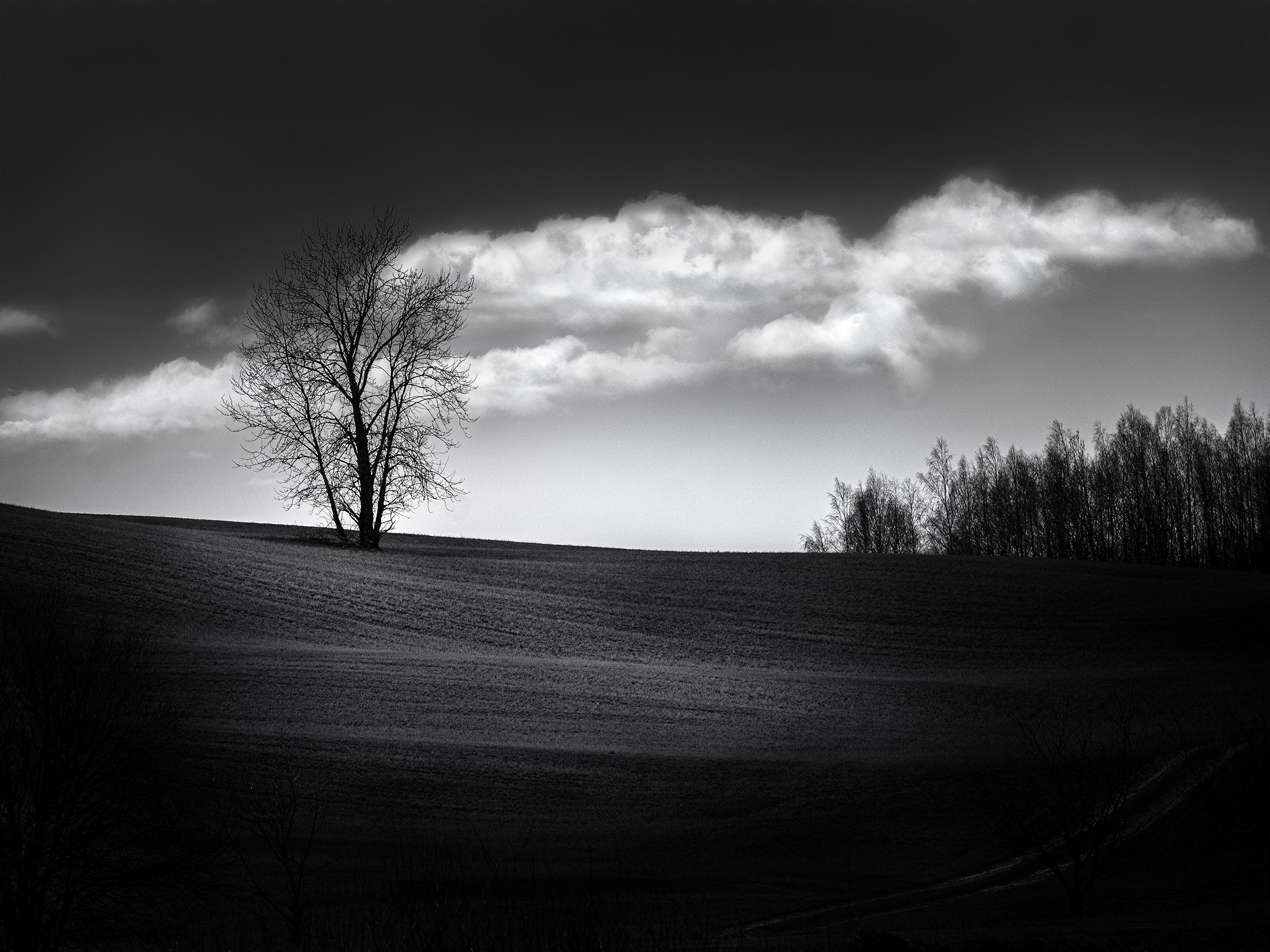 Spring mood | Scrolller