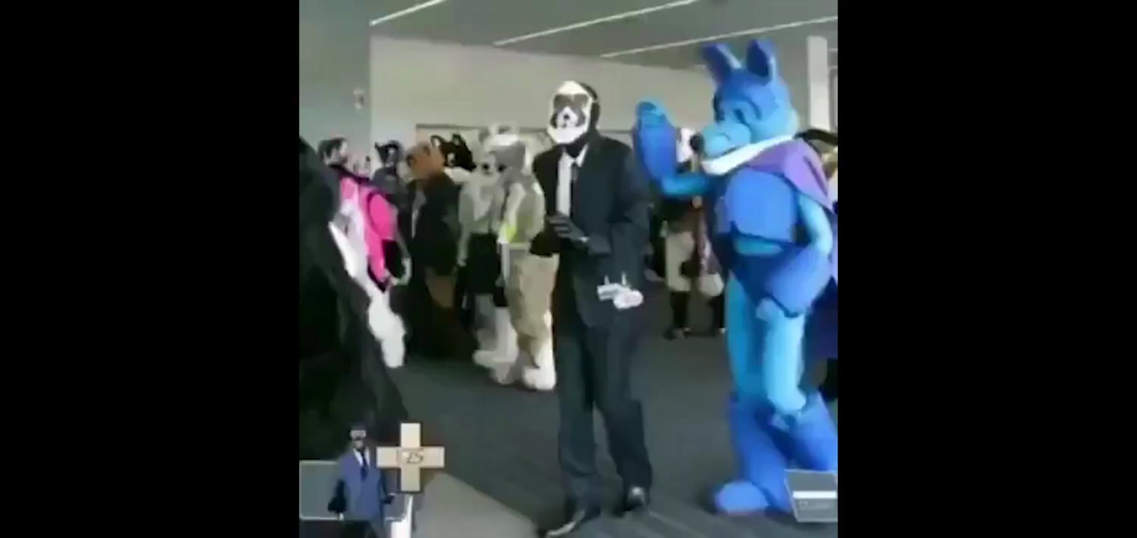 Spy's fursona in a party be like | Scrolller