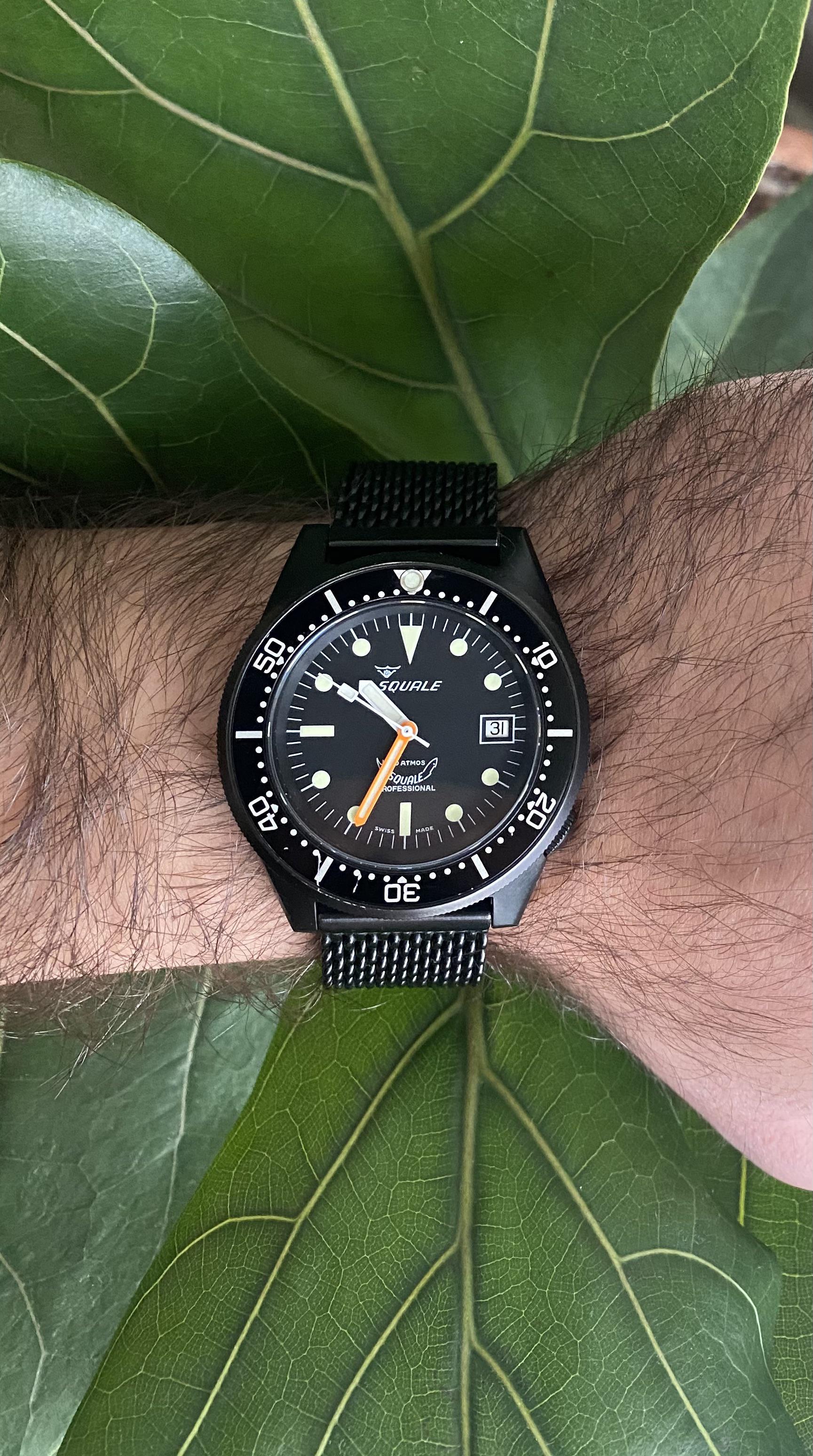 [Squale 1521] A fish out of water! | Scrolller