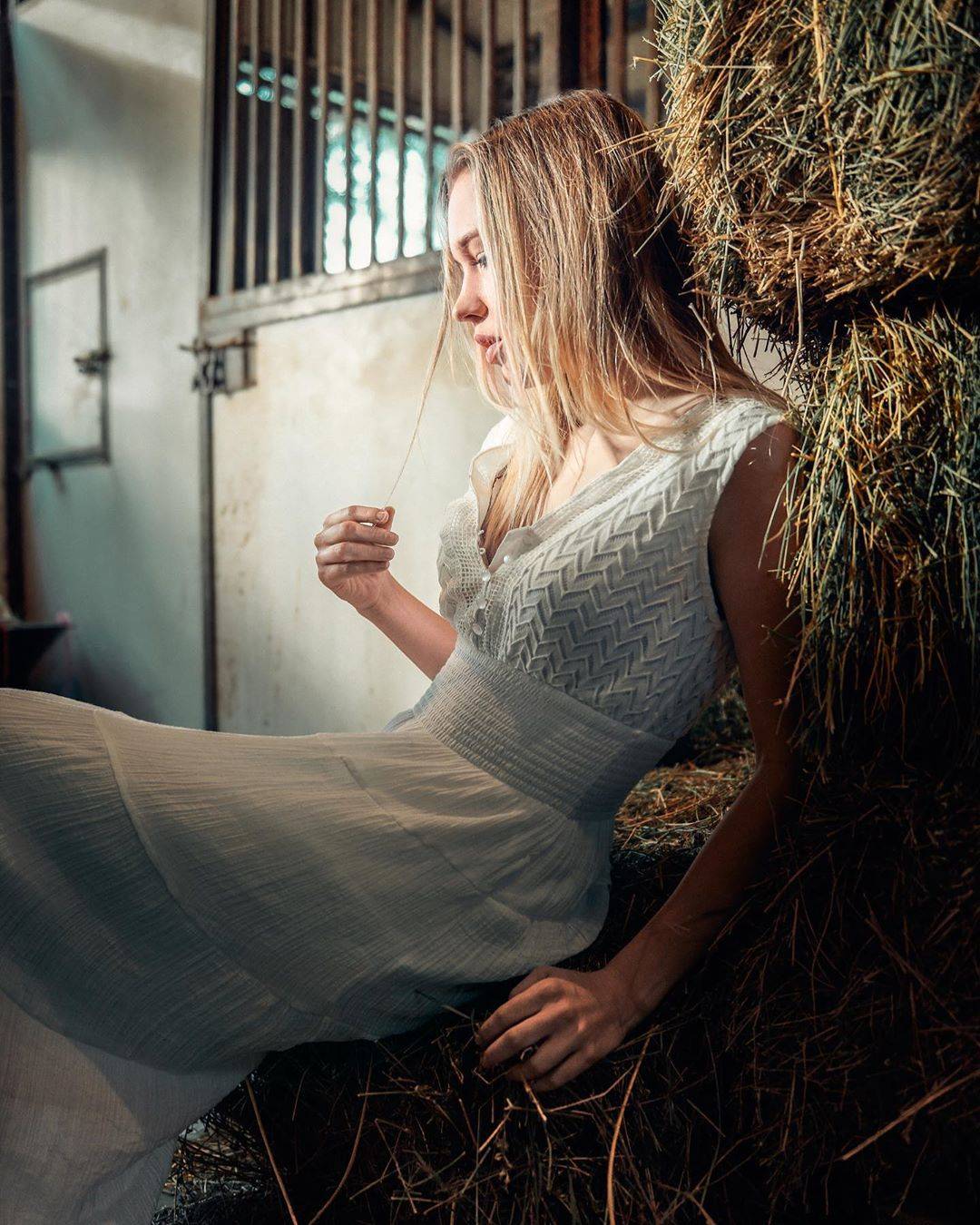 Stable beauty | Scrolller