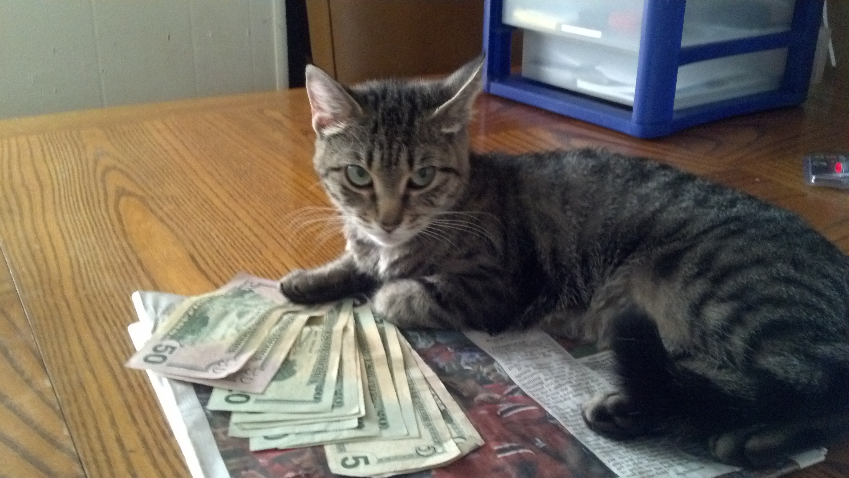 Stackin' | Scrolller