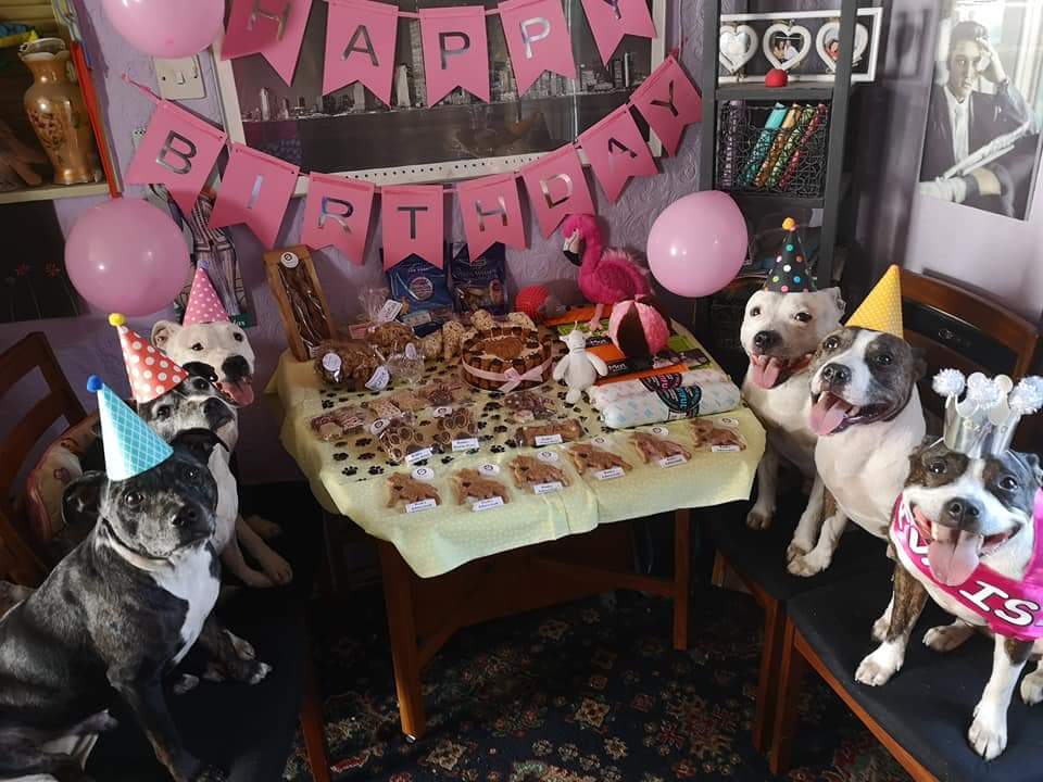 Staffy six pack | Scrolller