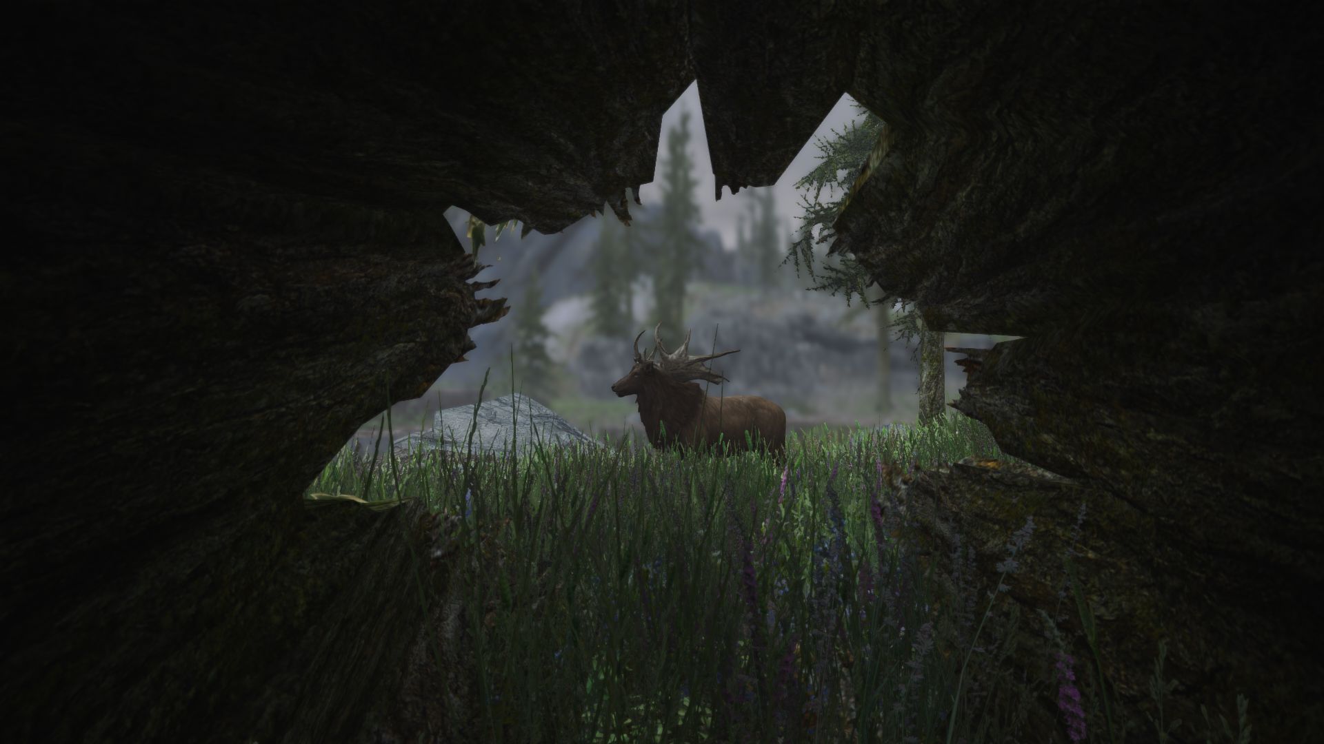 Stag from a hollow log | Scrolller