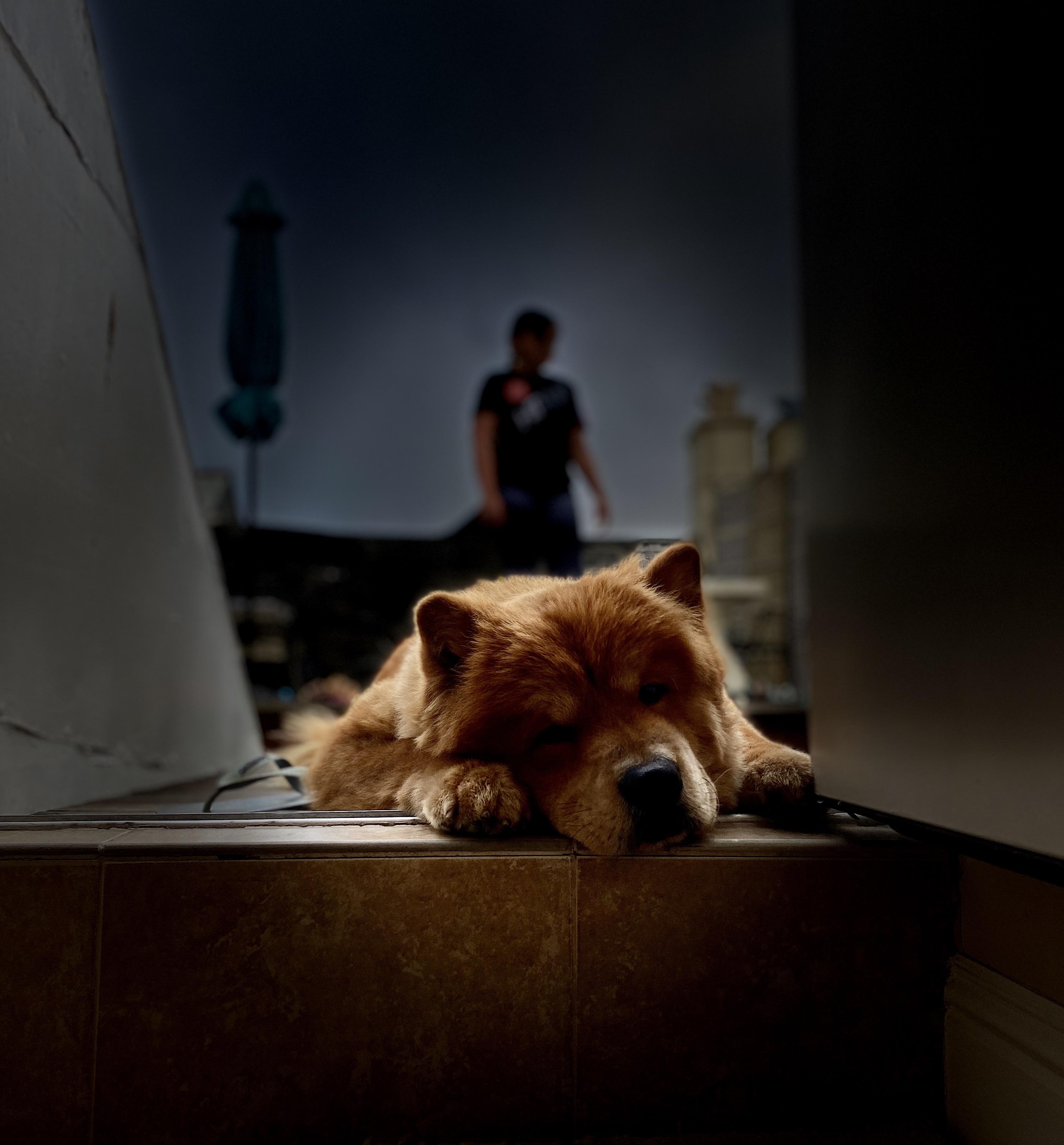 Stage Light in Portrait Mode | Scrolller