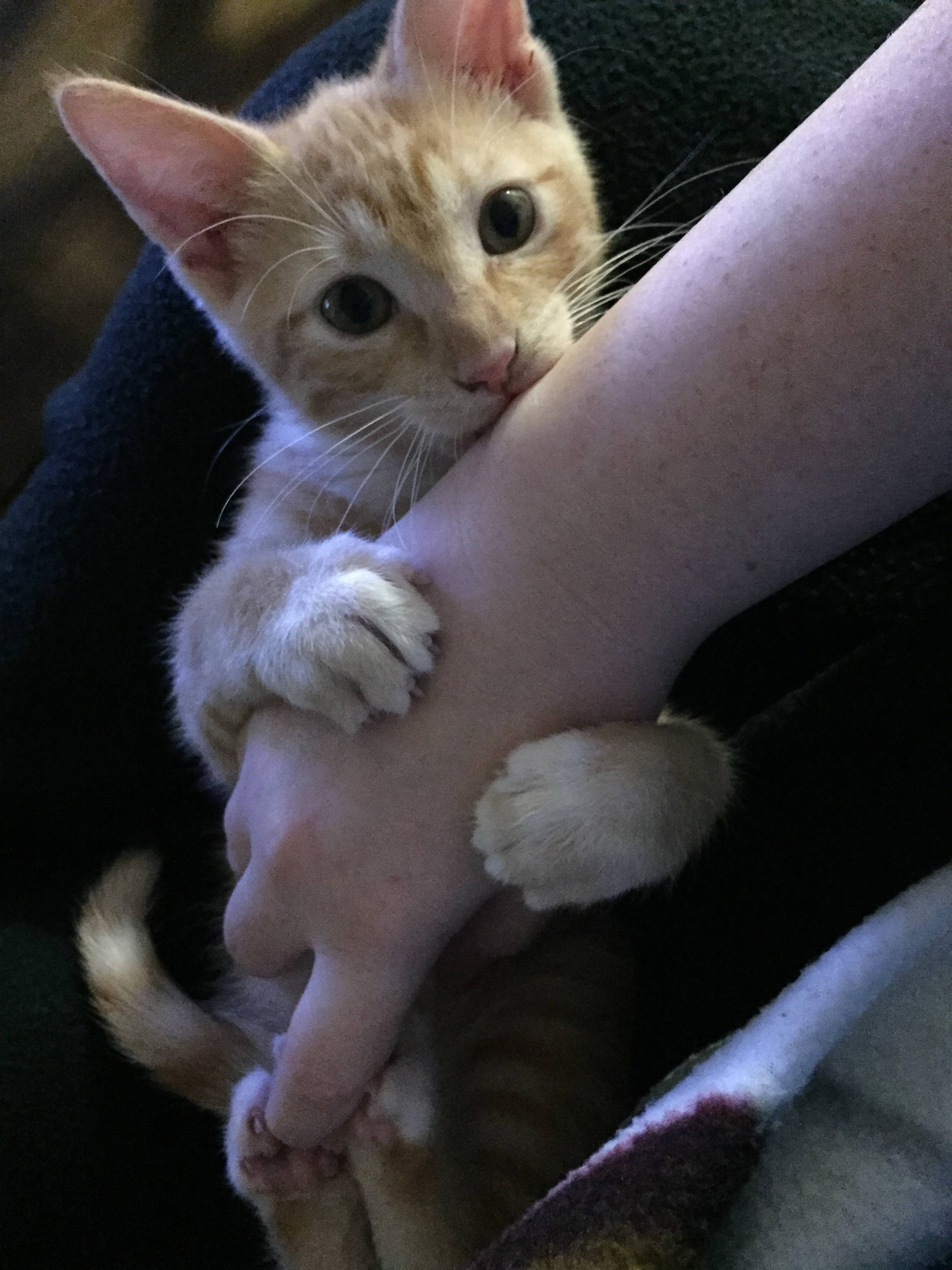 Stahp! I will devour your fingers! | Scrolller