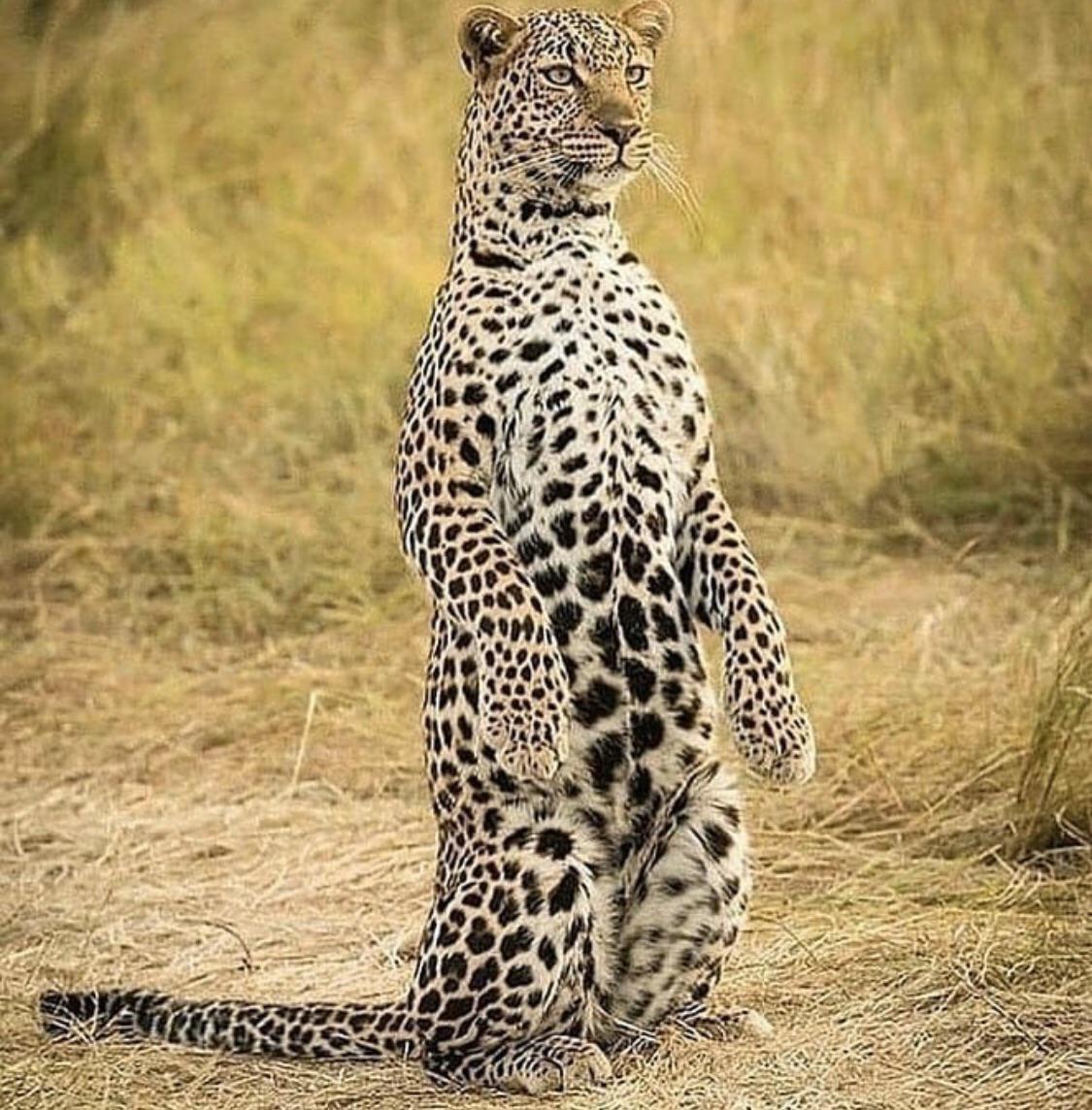 Standing Tall | Scrolller