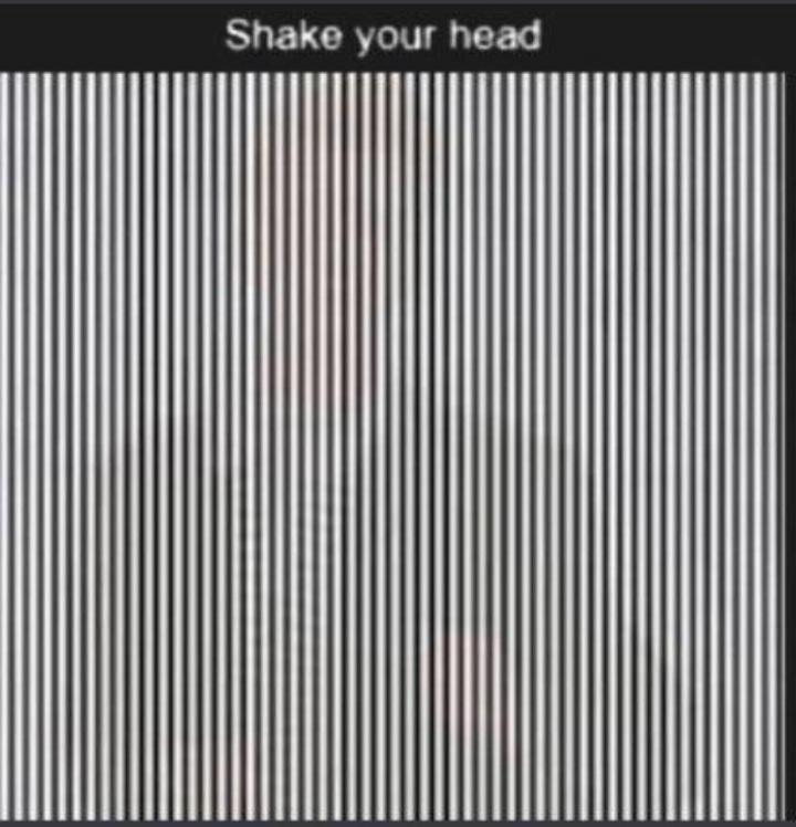 Stare at it and shake your head | Scrolller