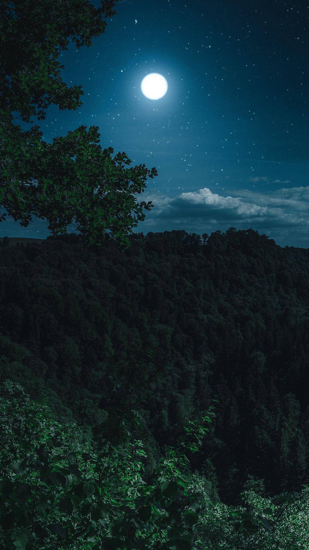 Starry sky | Scrolller