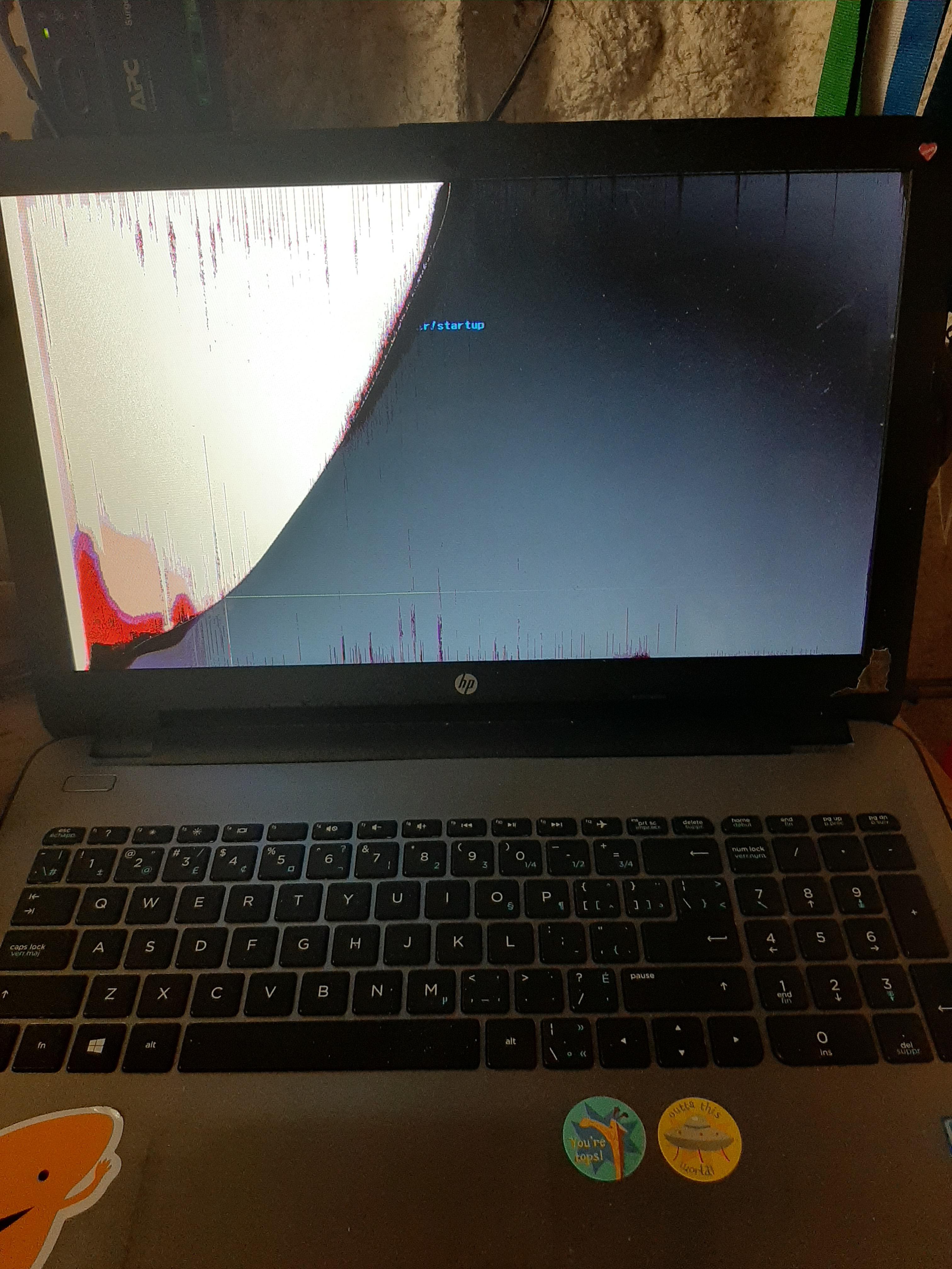 Start up help | Scrolller