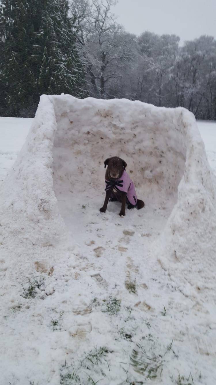 Started an igloo yesterday | Scrolller