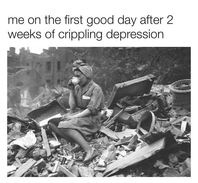 Starting from scratch | Scrolller