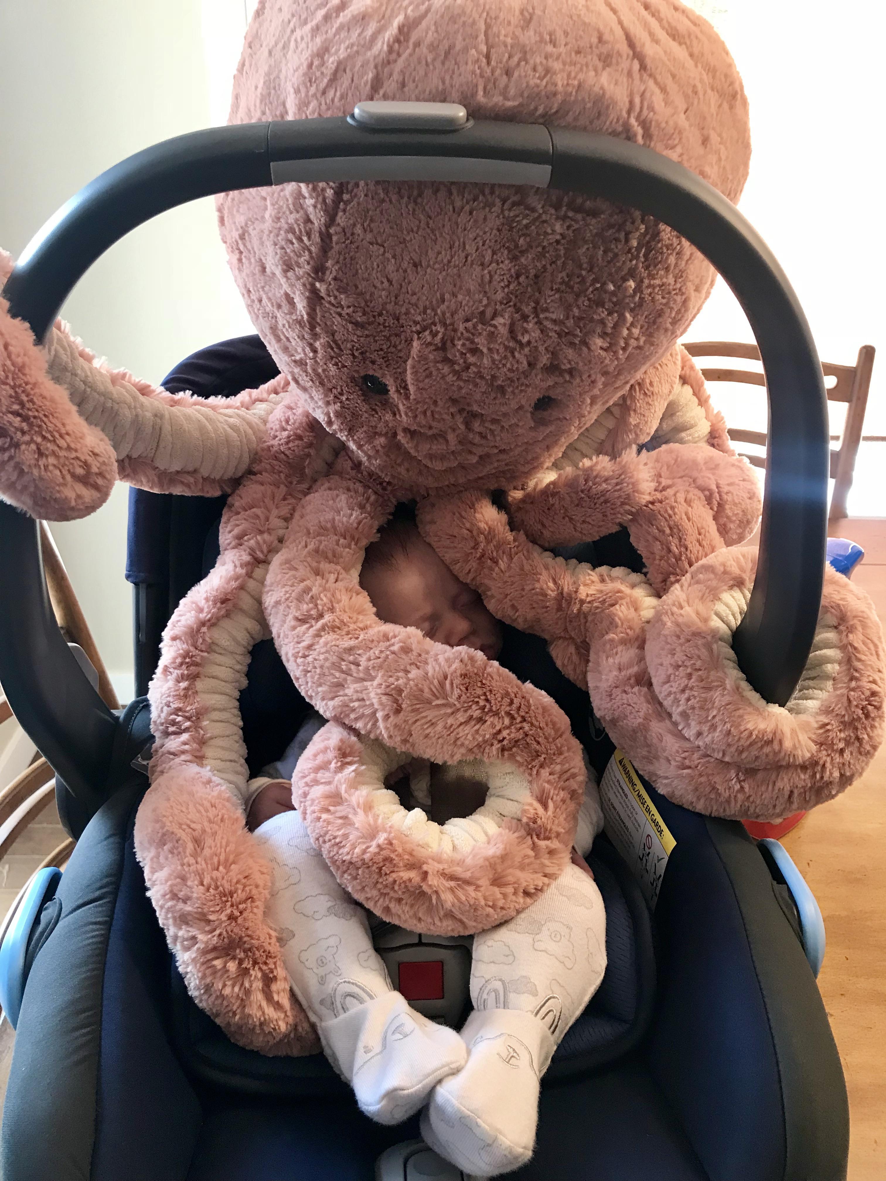 Starting her love for the Octopus early. | Scrolller