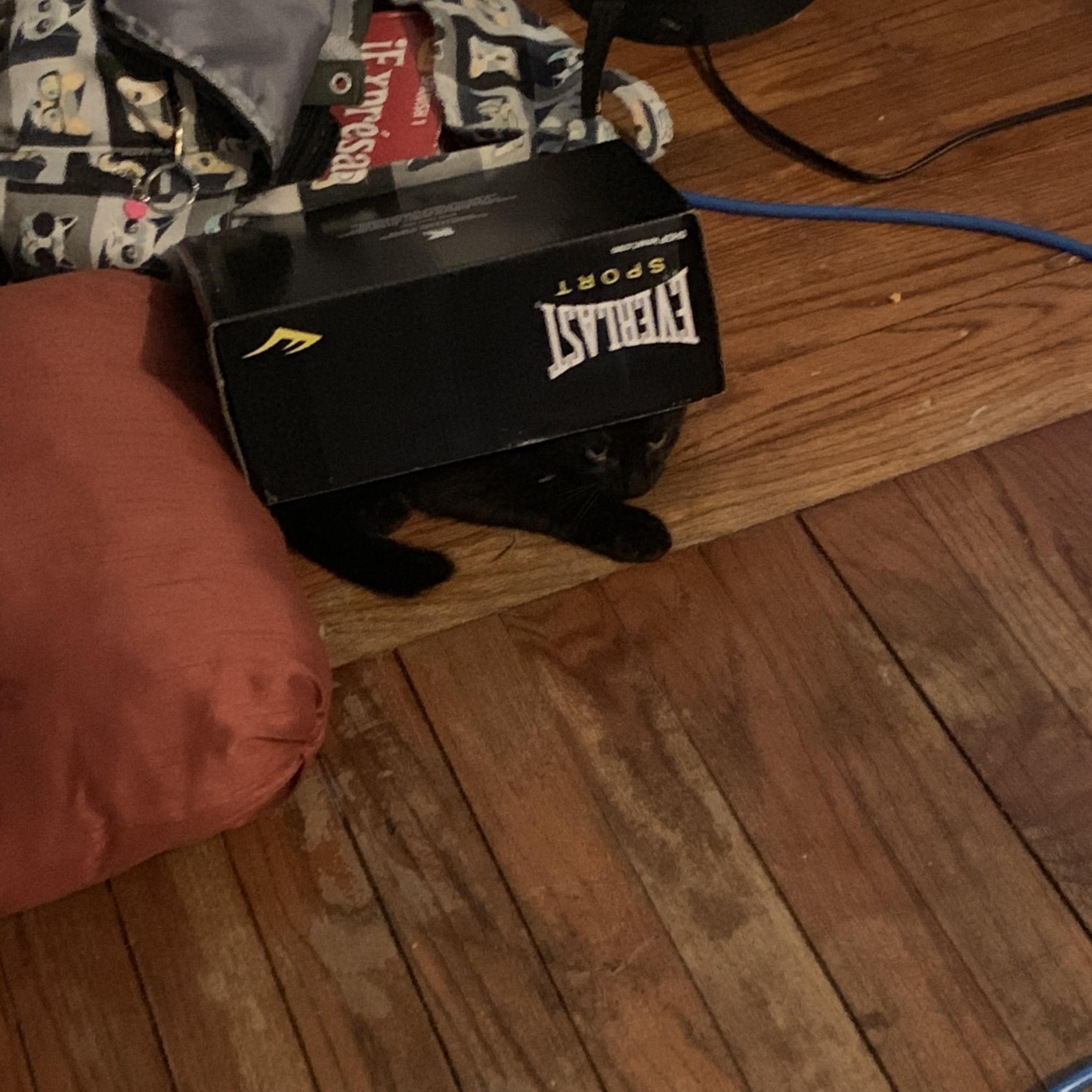 Stealth mode | Scrolller