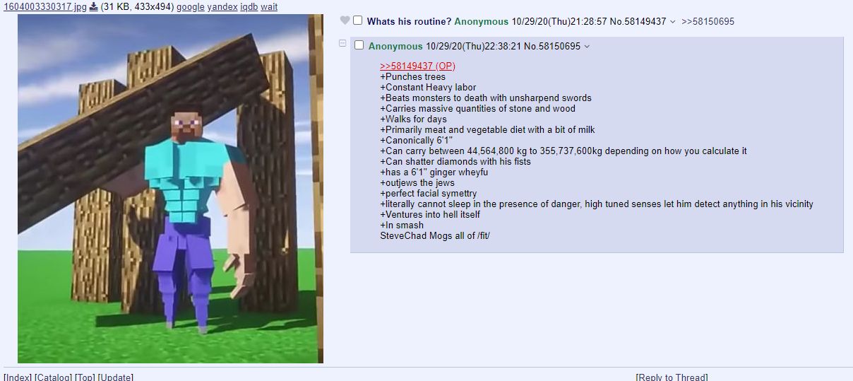 Steve is a /fit/izen | Scrolller