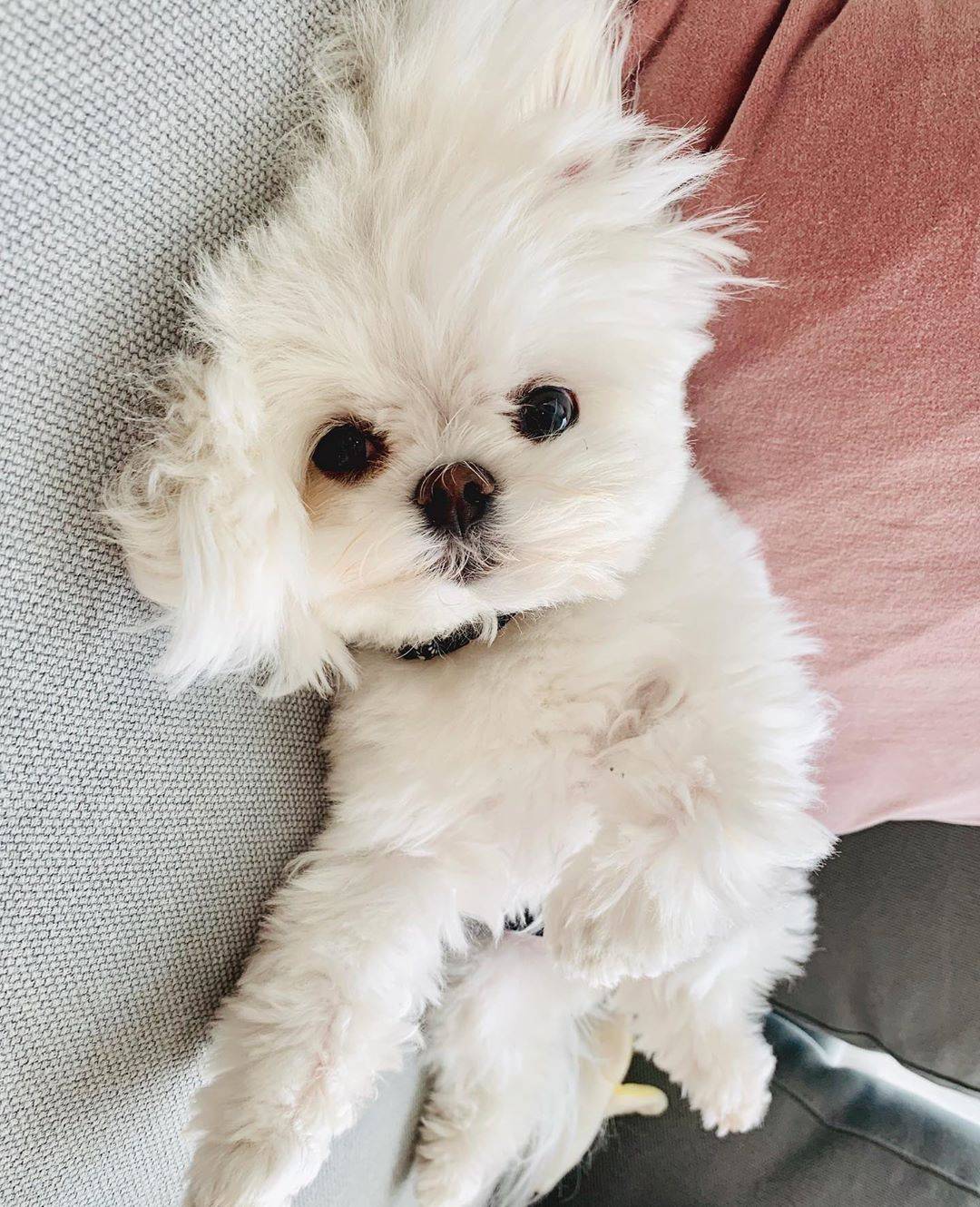 Still sleepy 💤.... Happy Monday everyone ️☀️! | Scrolller