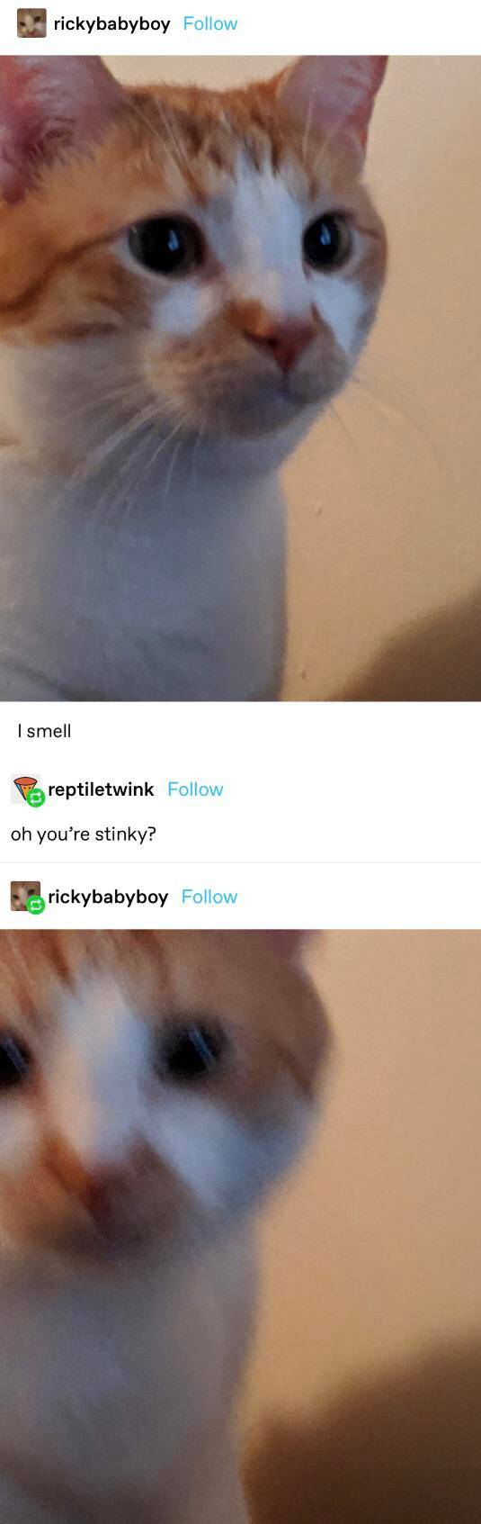 Stinky 😳 | Scrolller