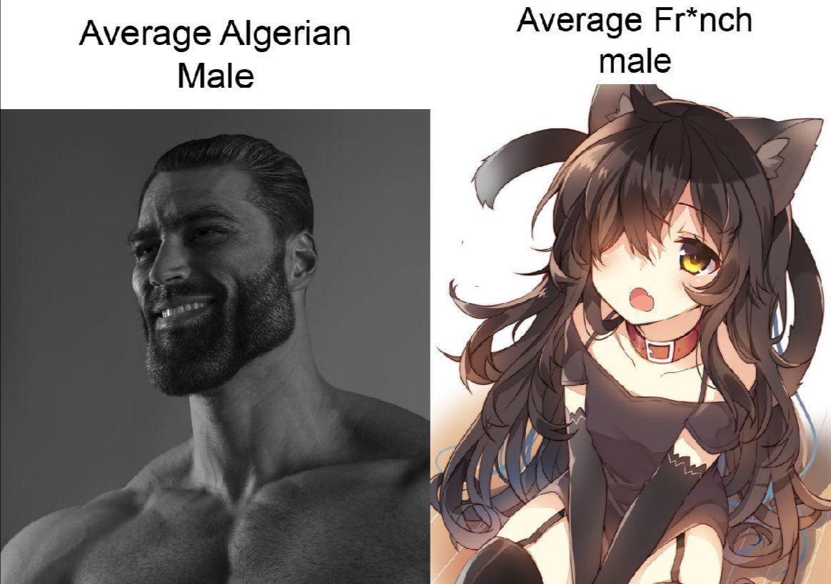 Stolen memes time | Scrolller