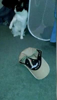 Stop getting so close! | Scrolller