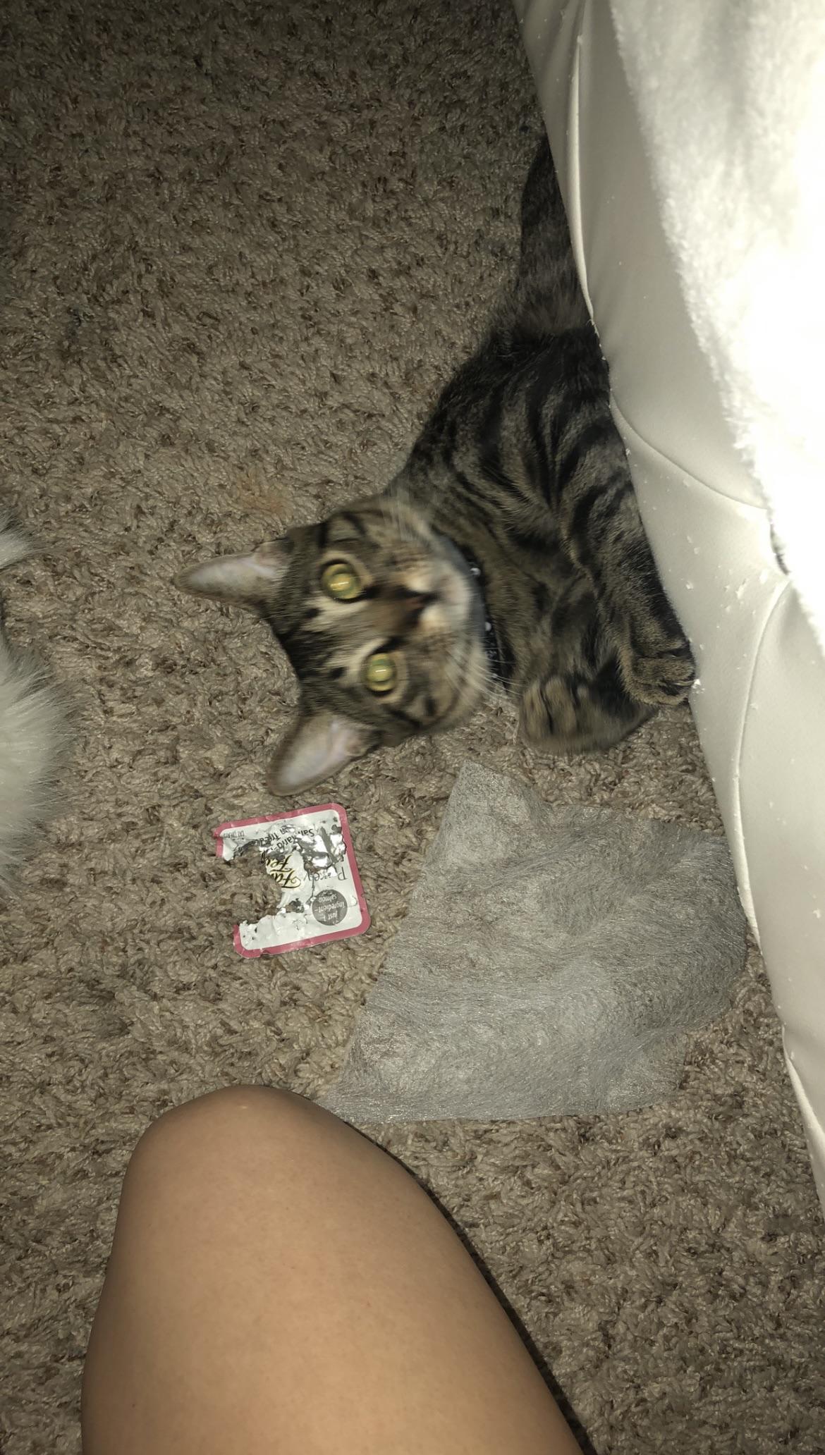 Straight CAUGHT! | Scrolller