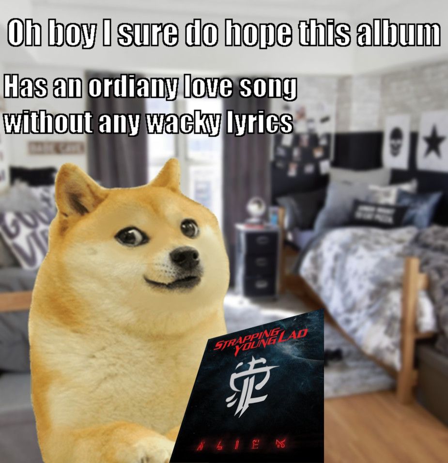 Strappying Young Doge | Scrolller