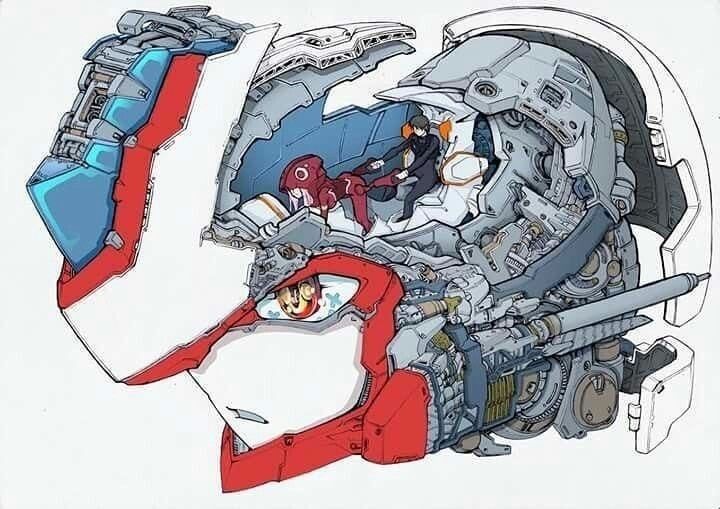 Strelizia cross section | Scrolller