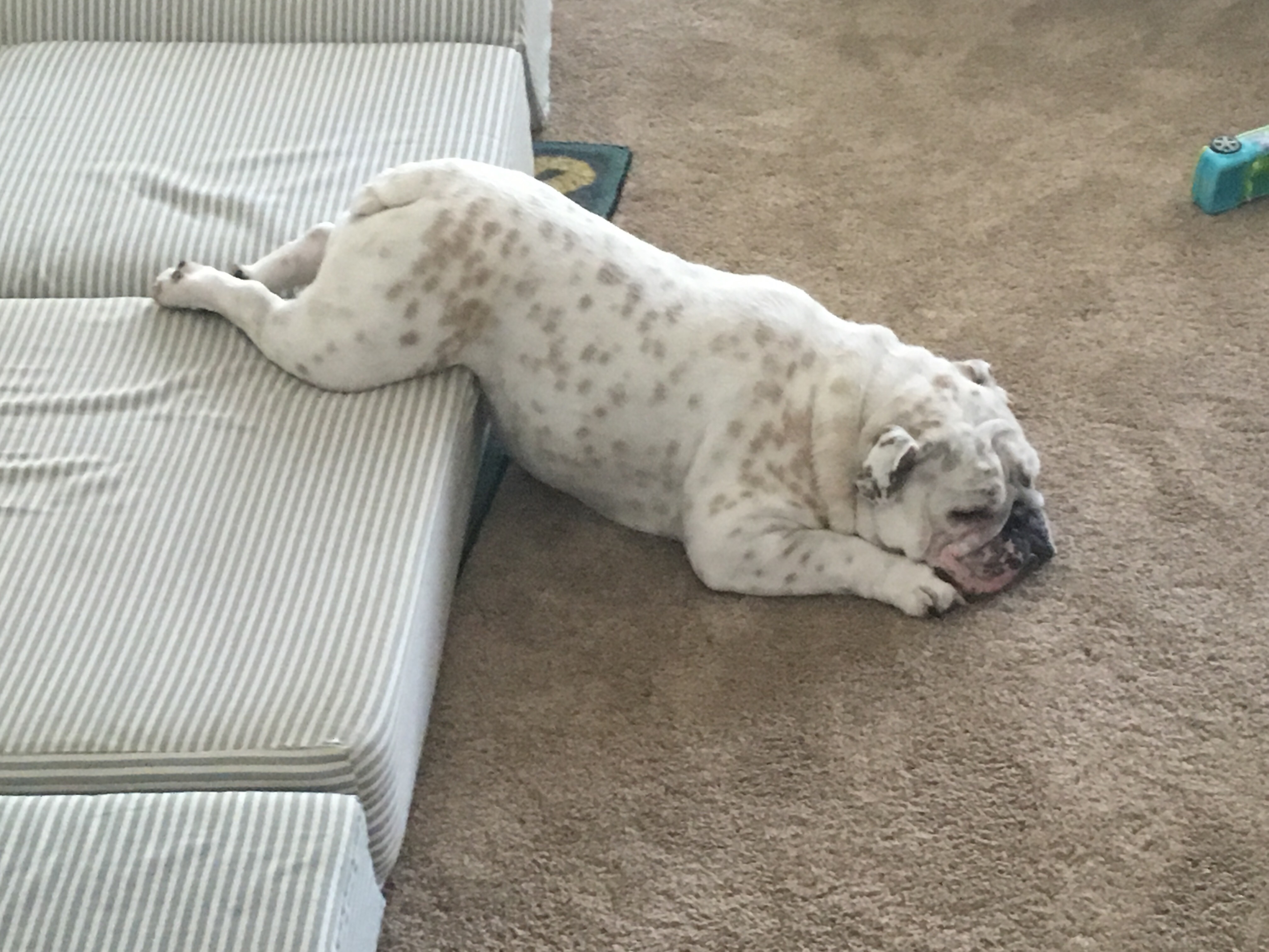 Stretching? | Scrolller