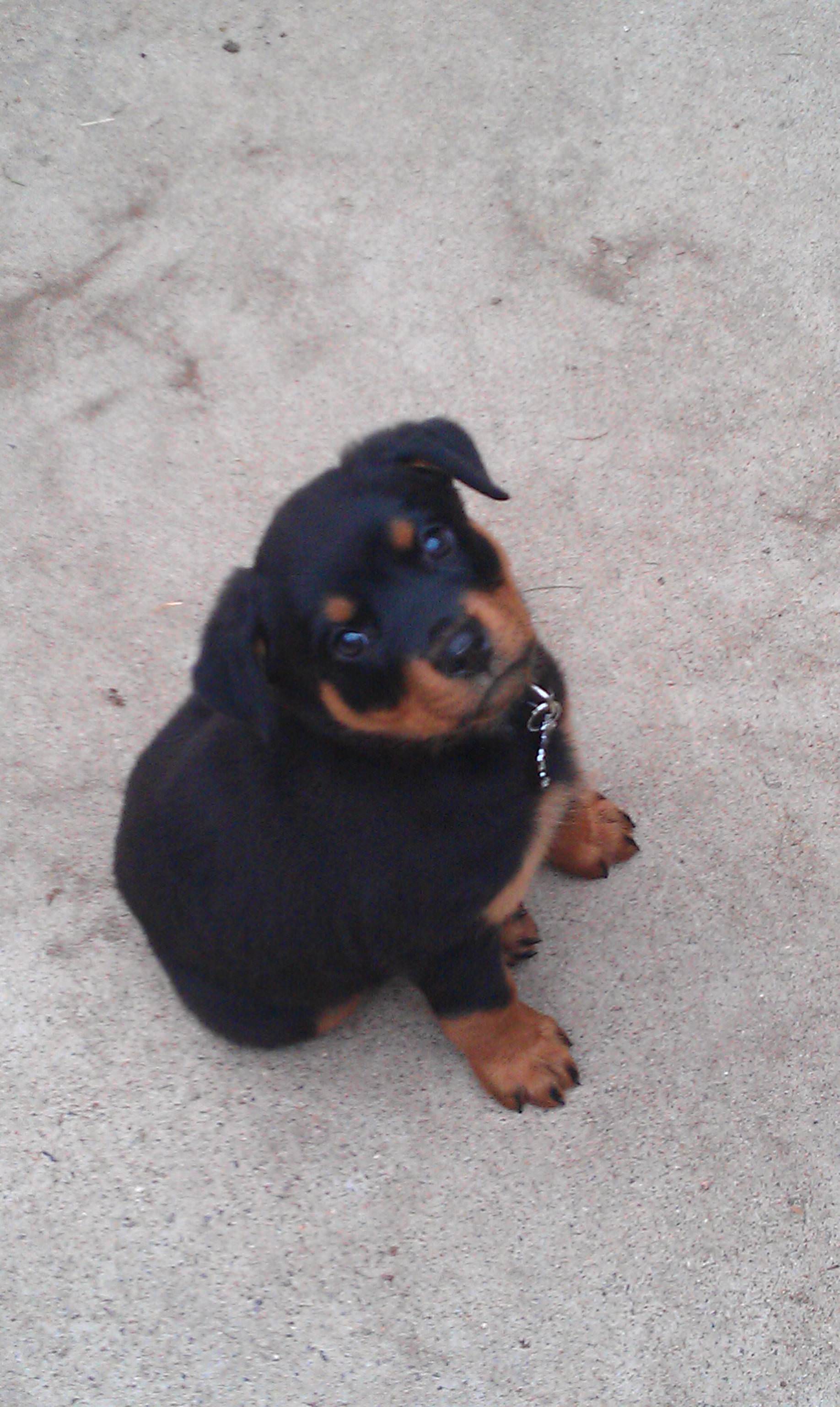 Strike a pose! Vogue! | Scrolller