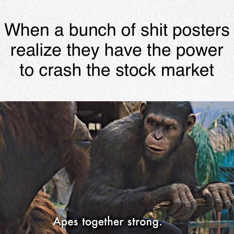 Strong monkes, make big stonks | Scrolller