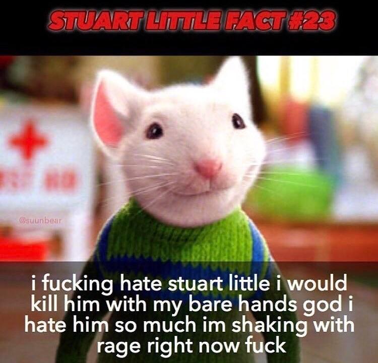 stuart little | Scrolller
