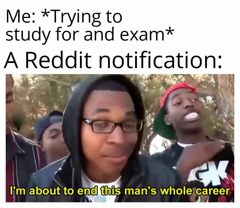 Study is for normies | Scrolller