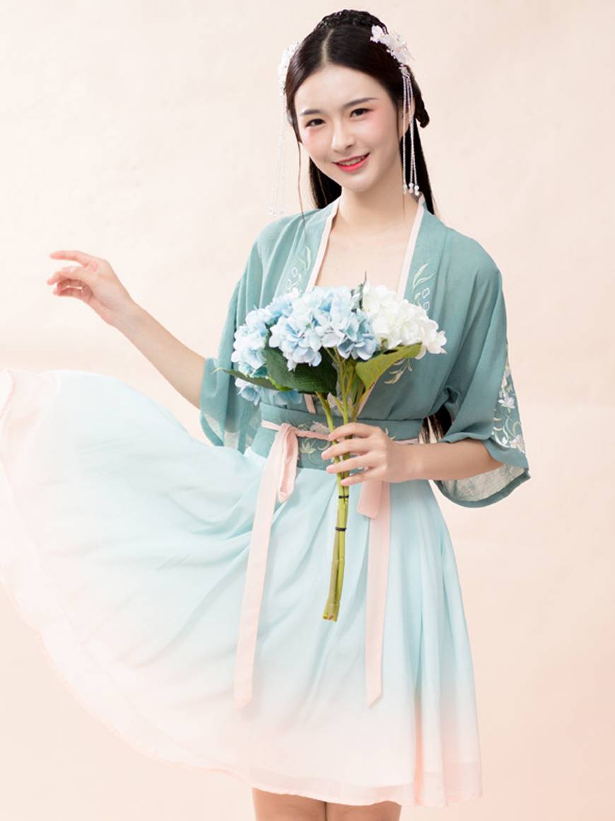 Summer Hanfu Skirt | Scrolller