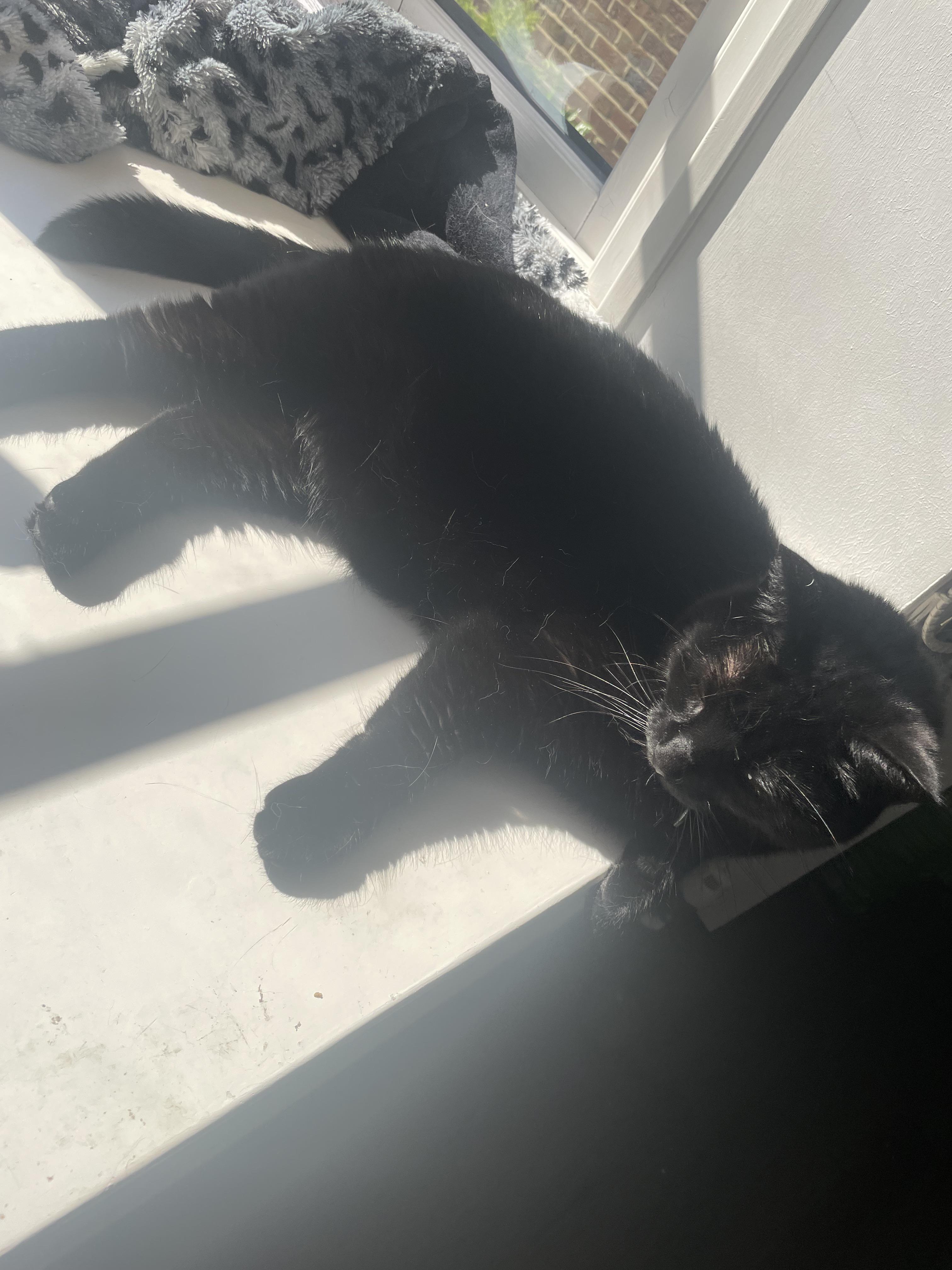 Sun bathing goddess | Scrolller