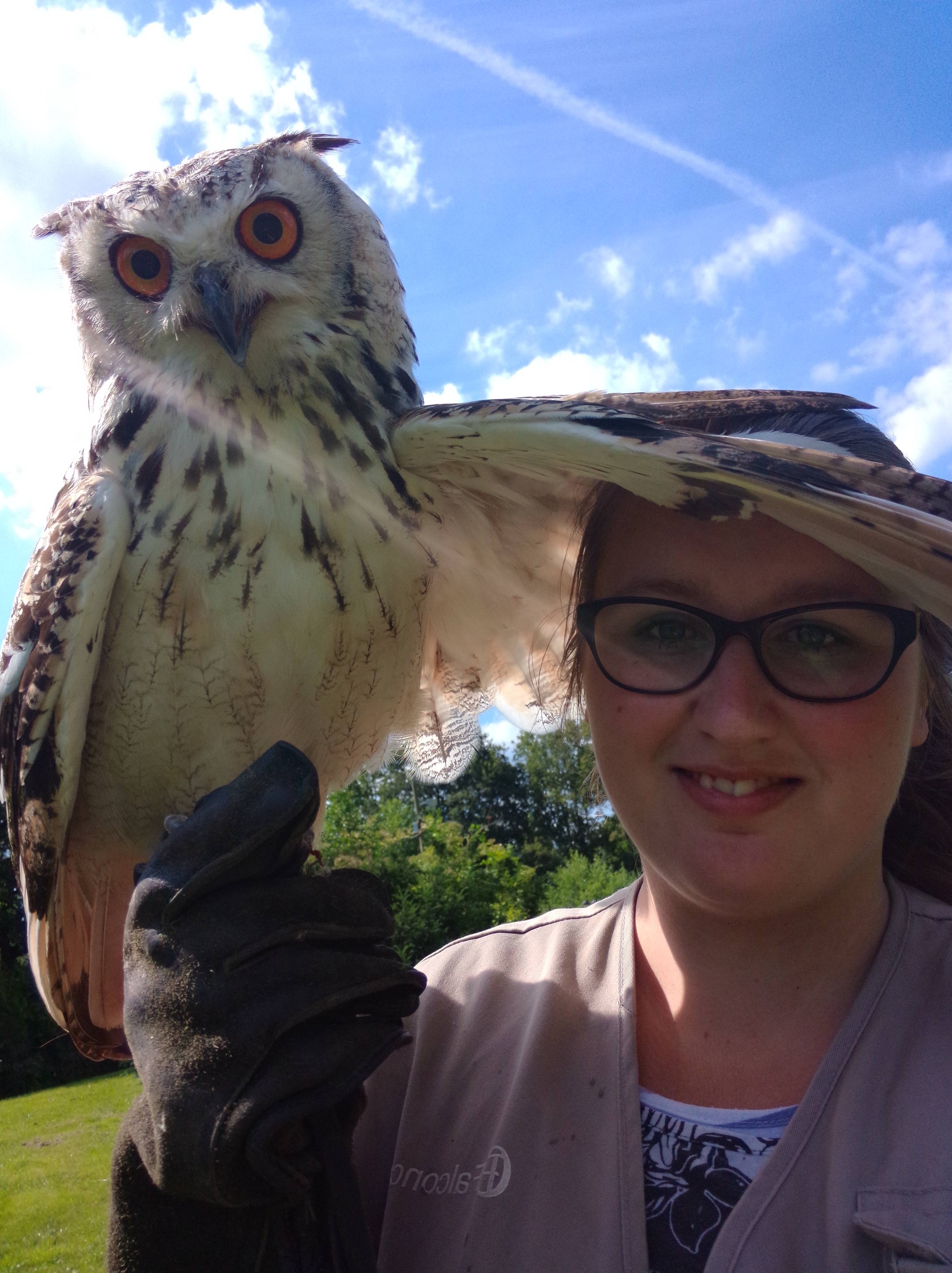 Sun protection from indian eagle-owl | Scrolller