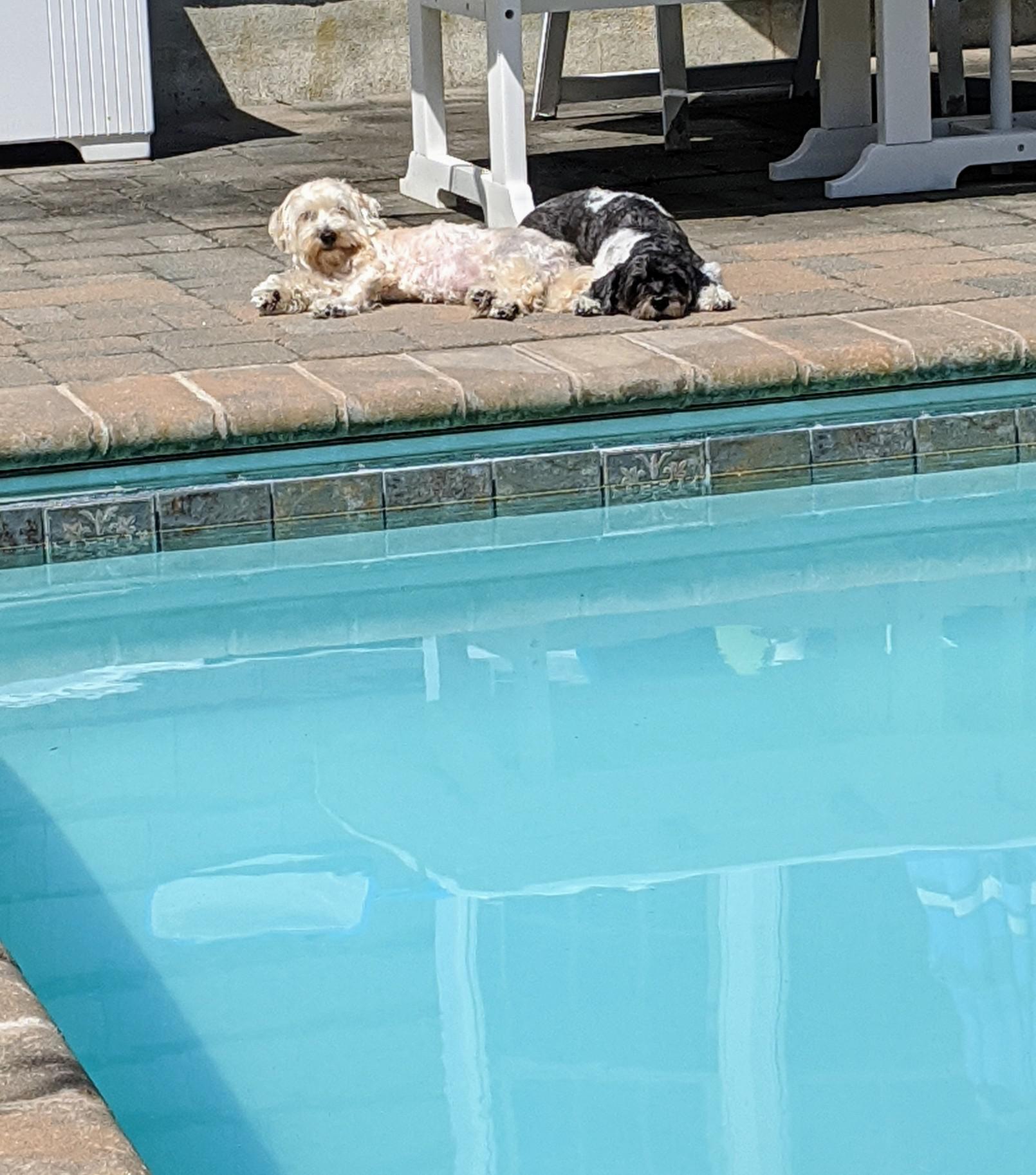 Sunbathing | Scrolller