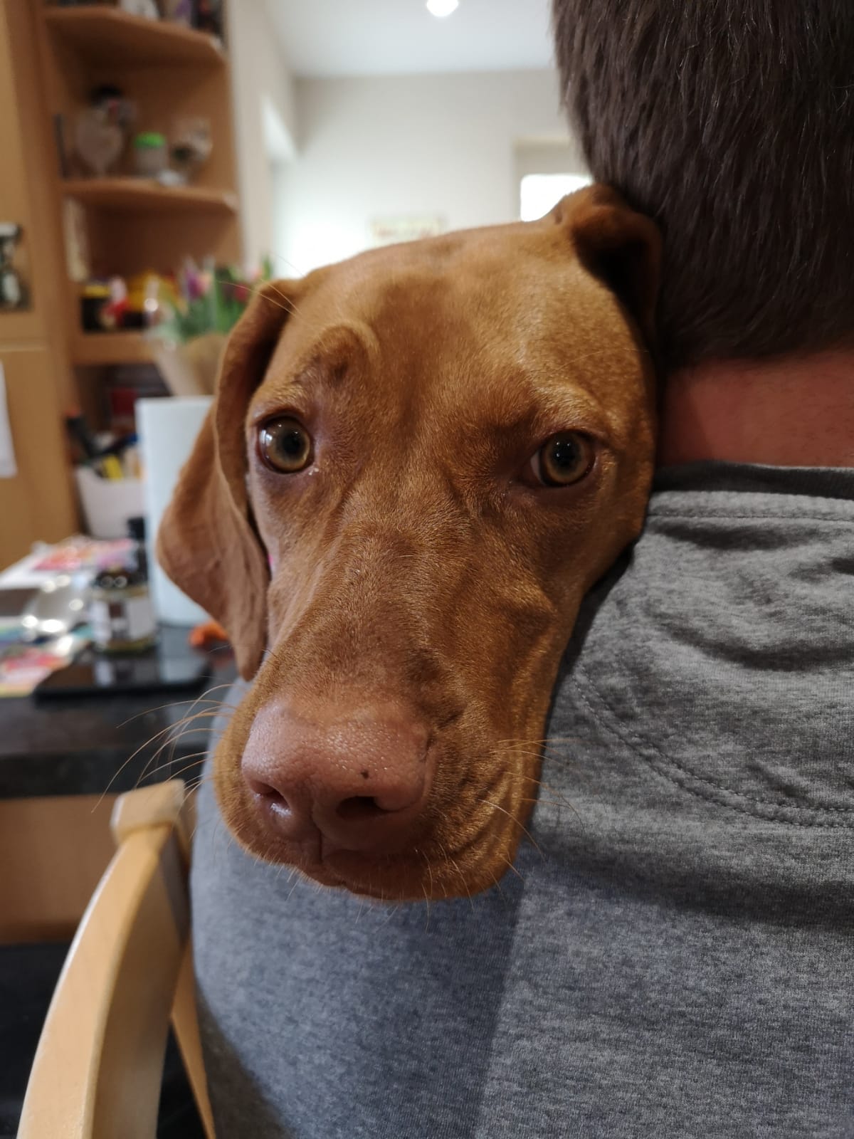 Sunday Cuddles Scrolller