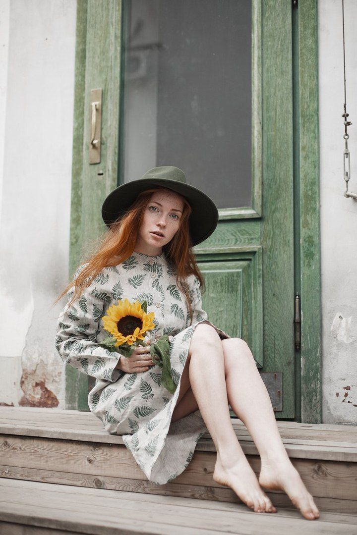 Sunflower | Scrolller