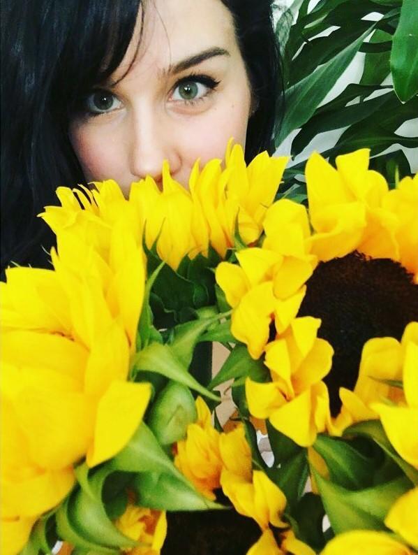 Sunflowers | Scrolller