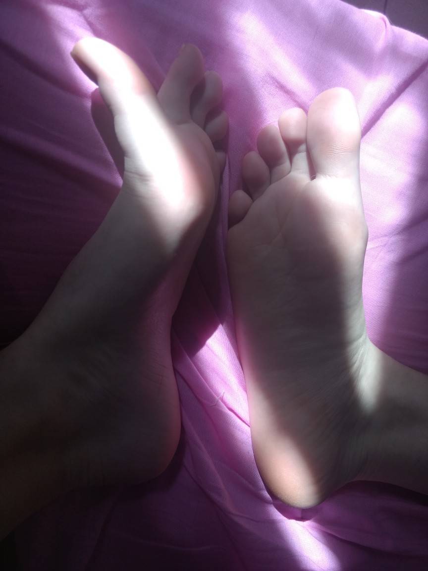 sunlight | Scrolller