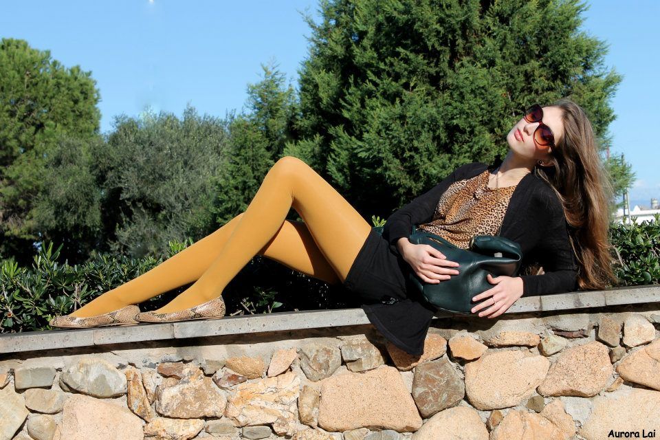 Sunning herself | Scrolller