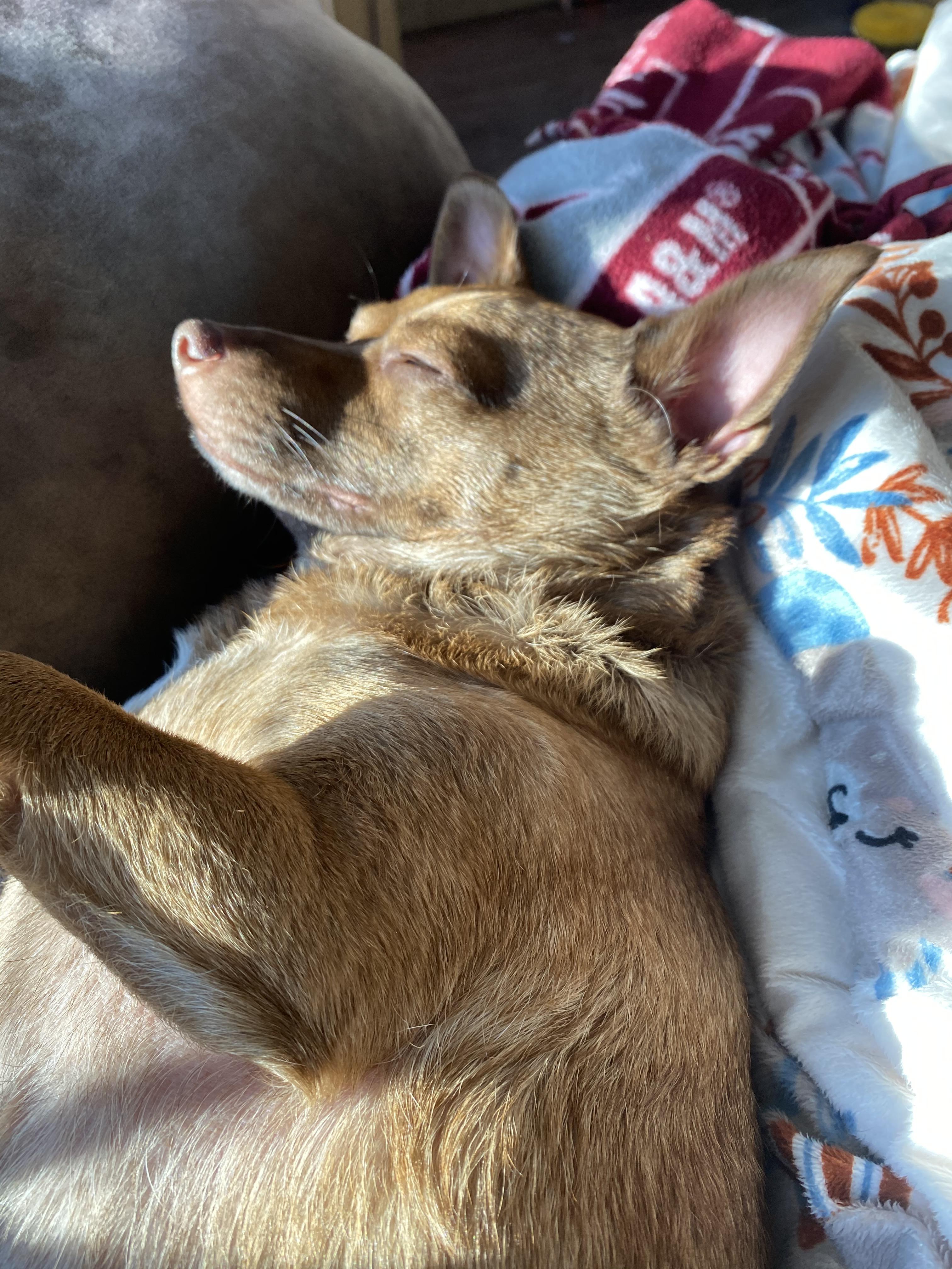 Sunny snuggles | Scrolller