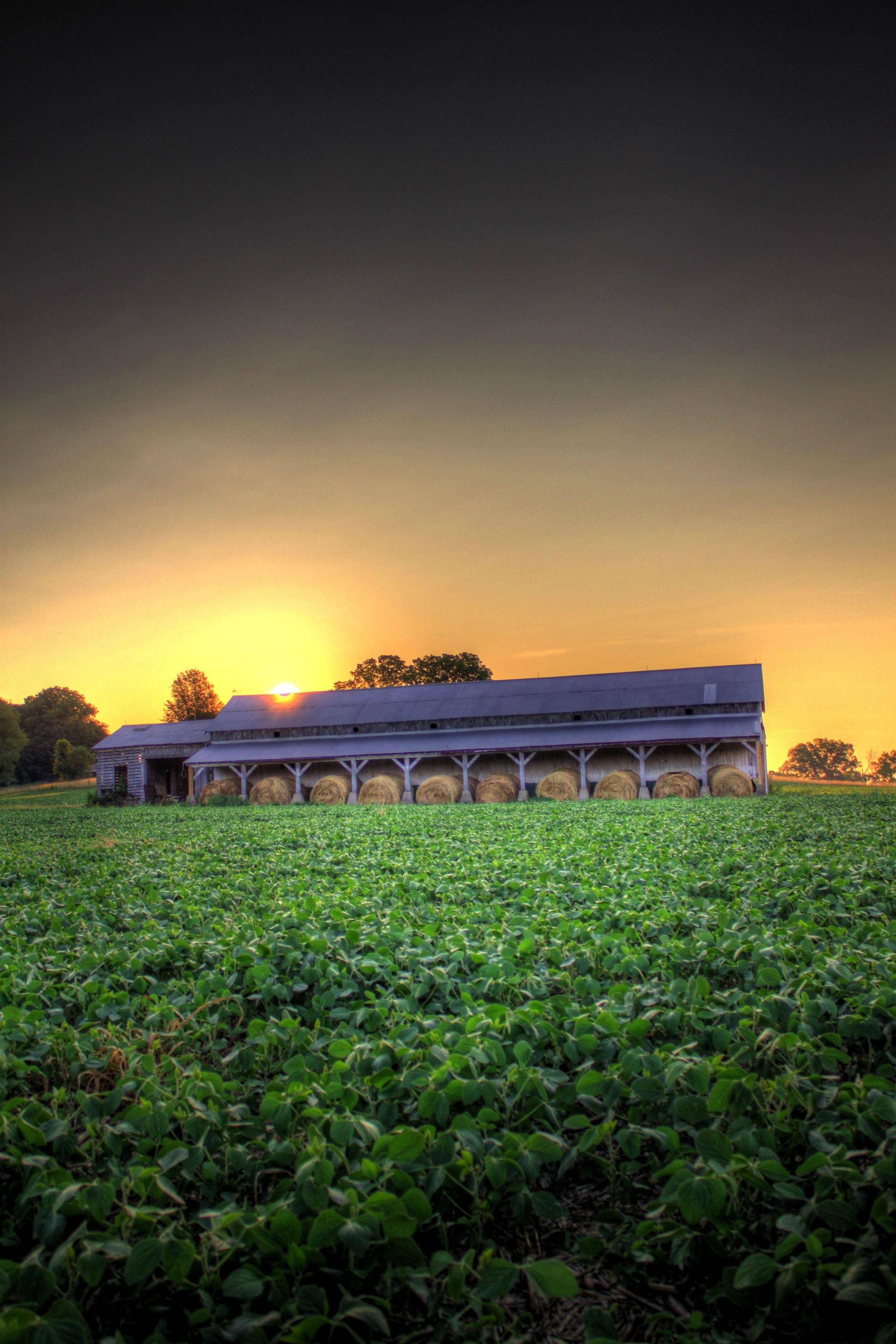 Sunrise over a hay barn | Scrolller