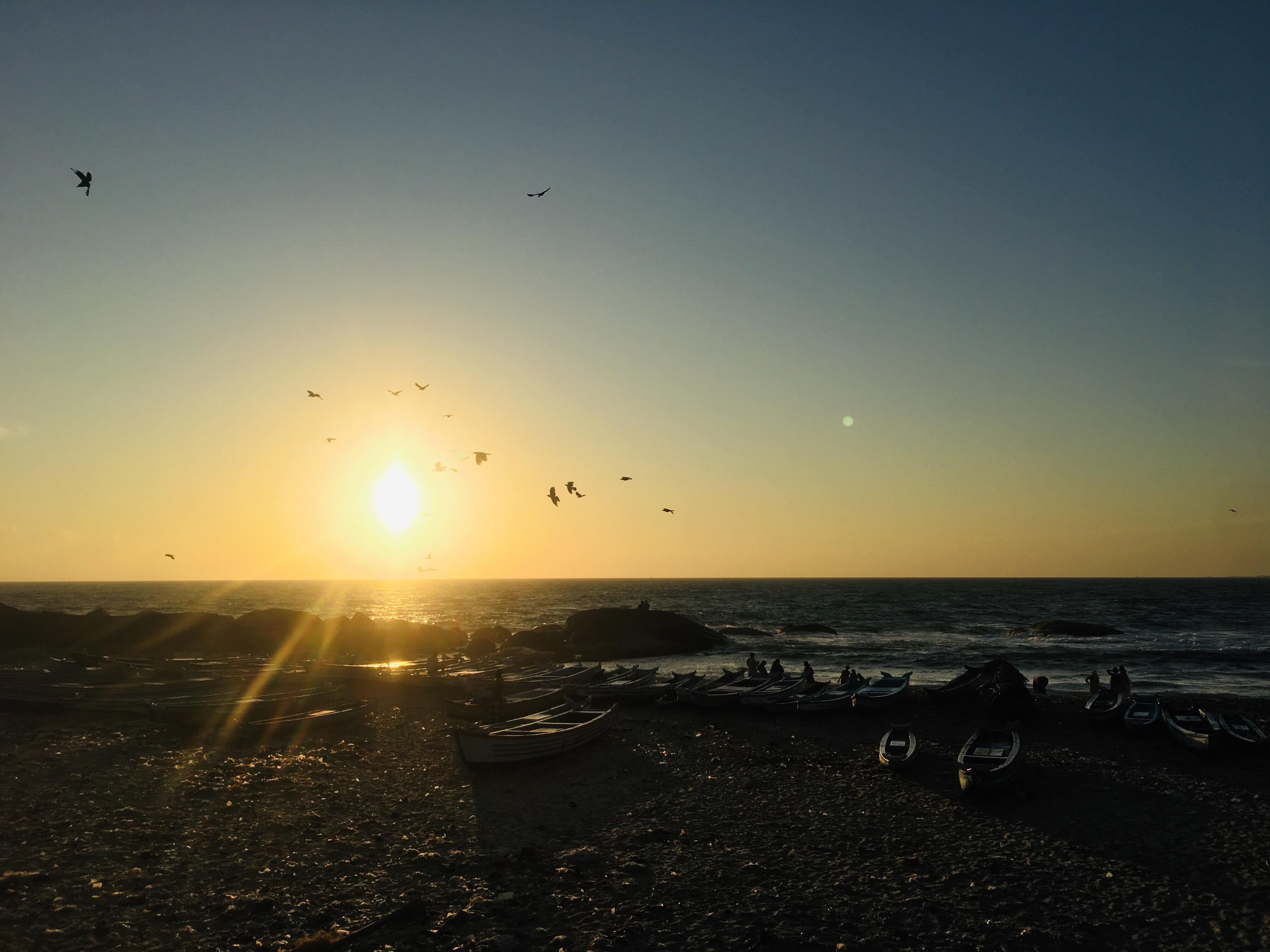 sunset and those crows | Scrolller