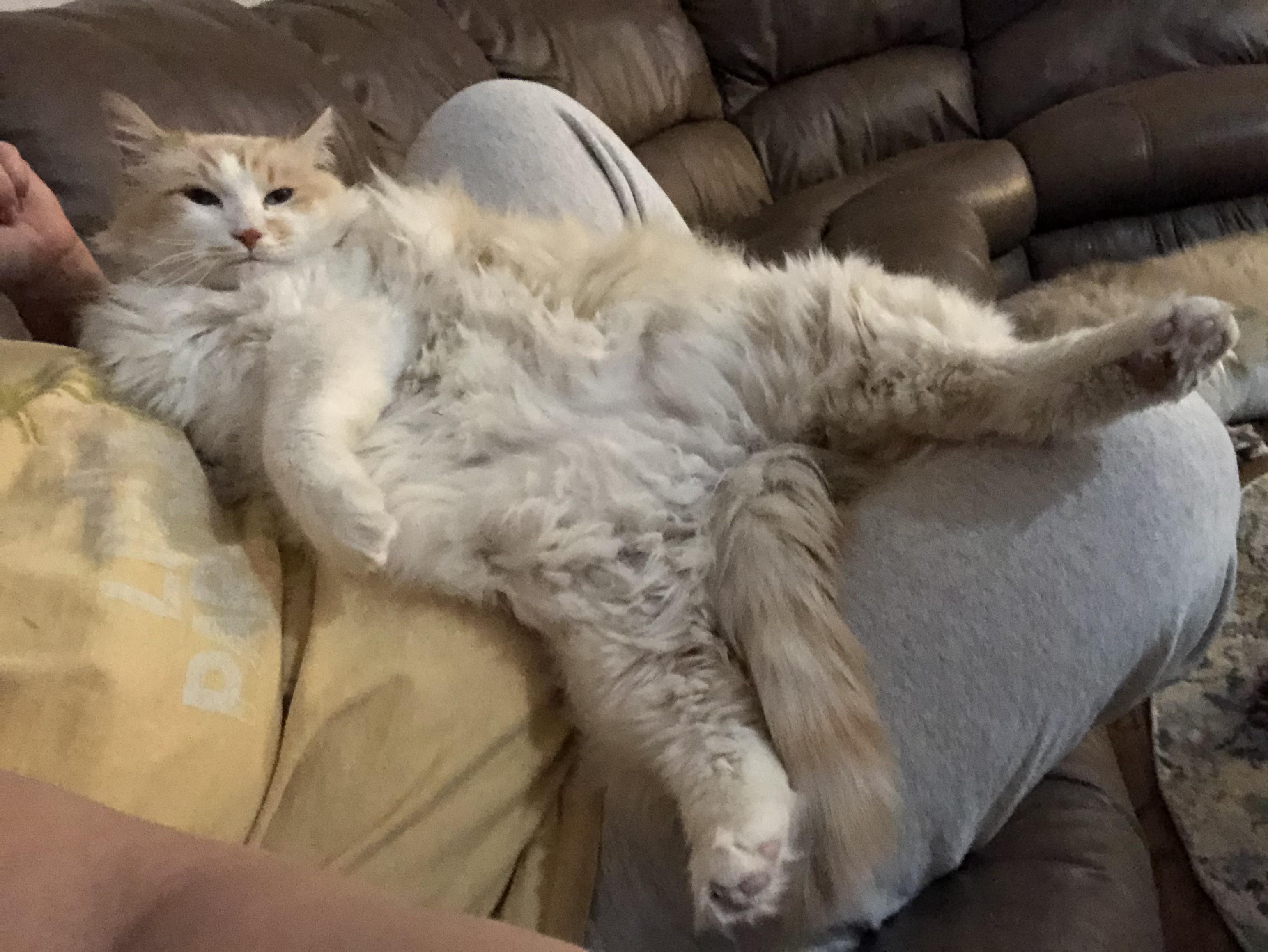 Sup, girl? | Scrolller