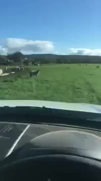 Sup ladies | Scrolller