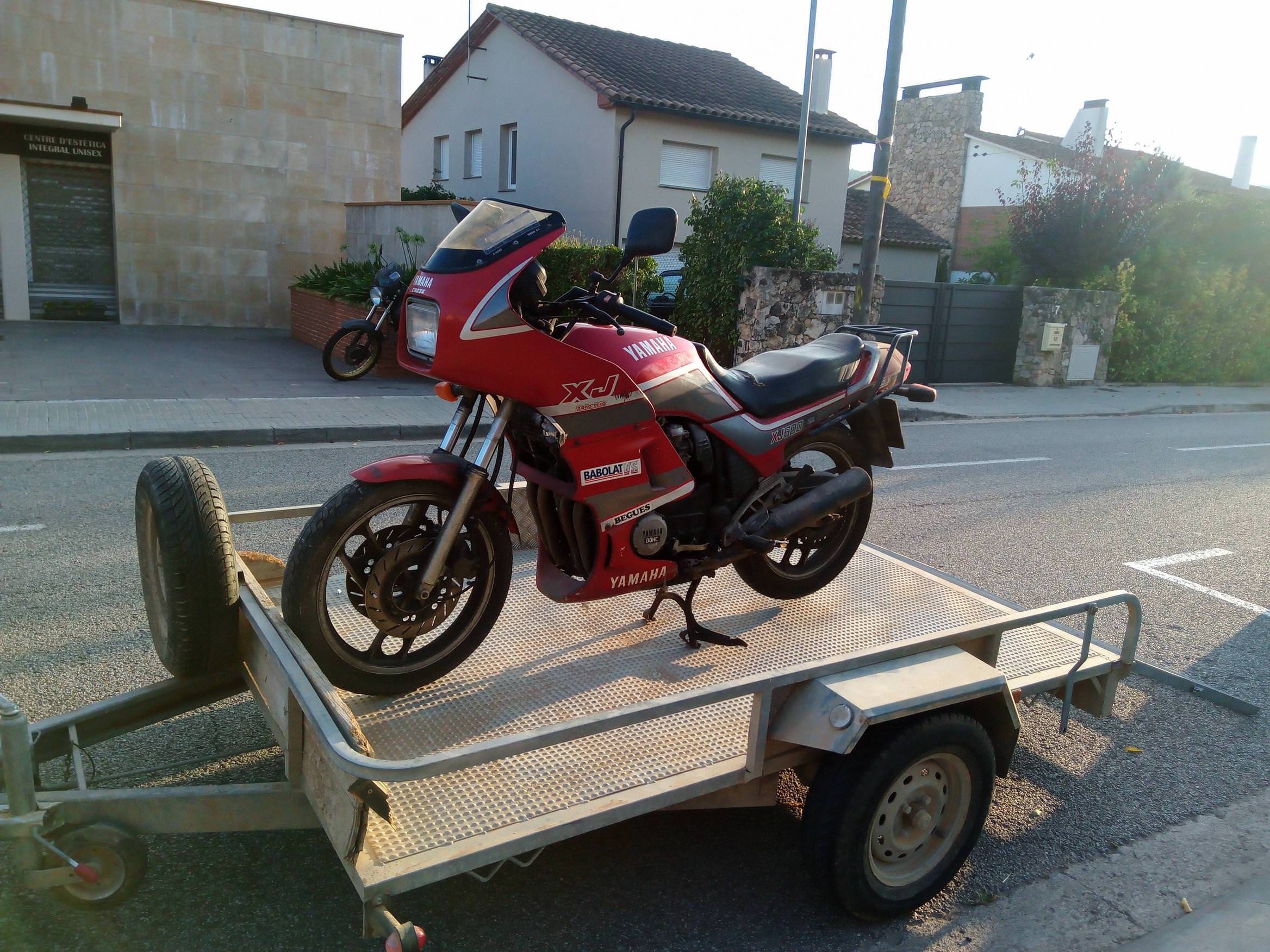 Super excited with new project | Scrolller