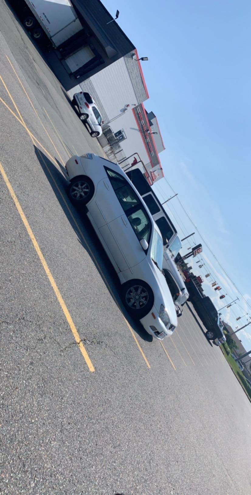 super rare sighting | Scrolller