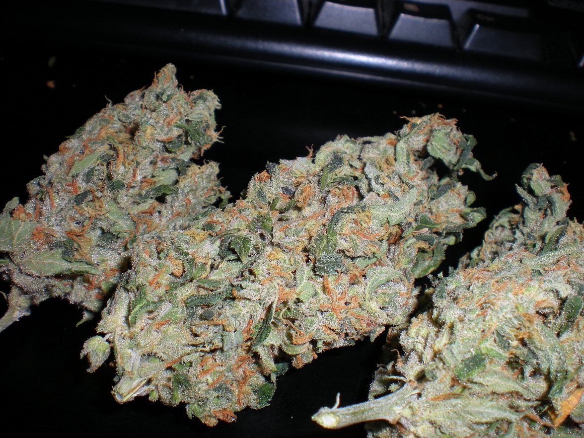 Super rhino | Scrolller