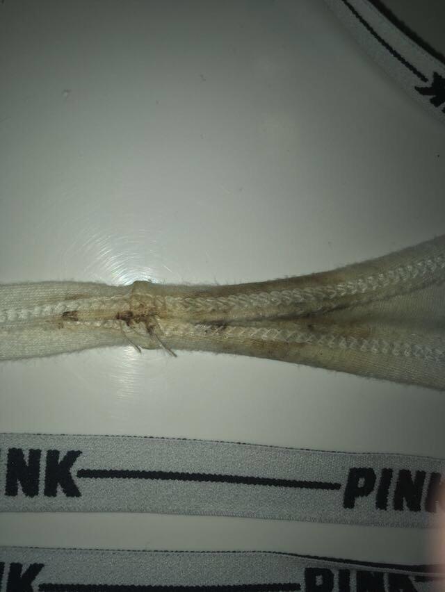 Super stinky Zone 3 😋 | Scrolller