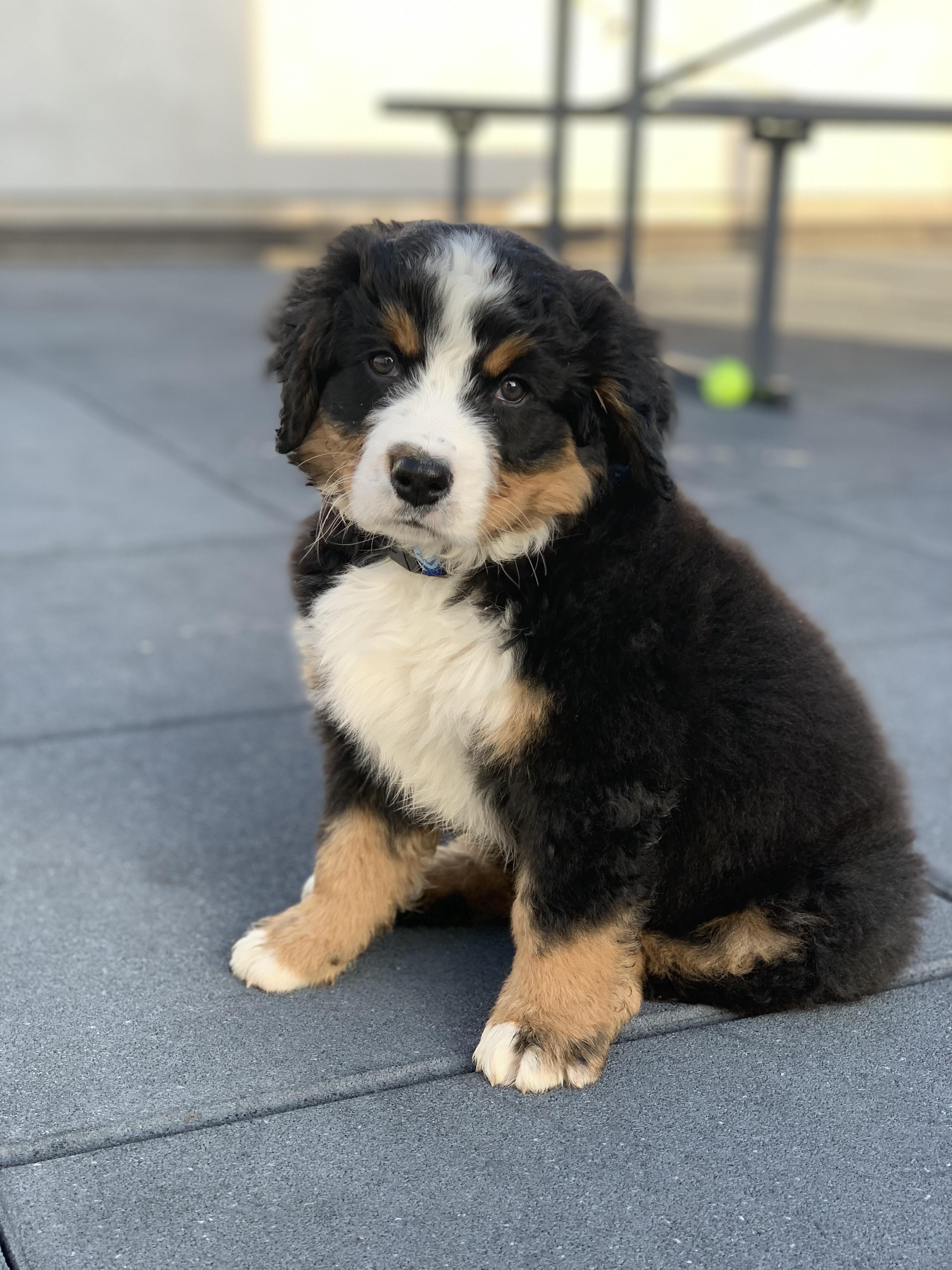 Supermodel in training | Scrolller