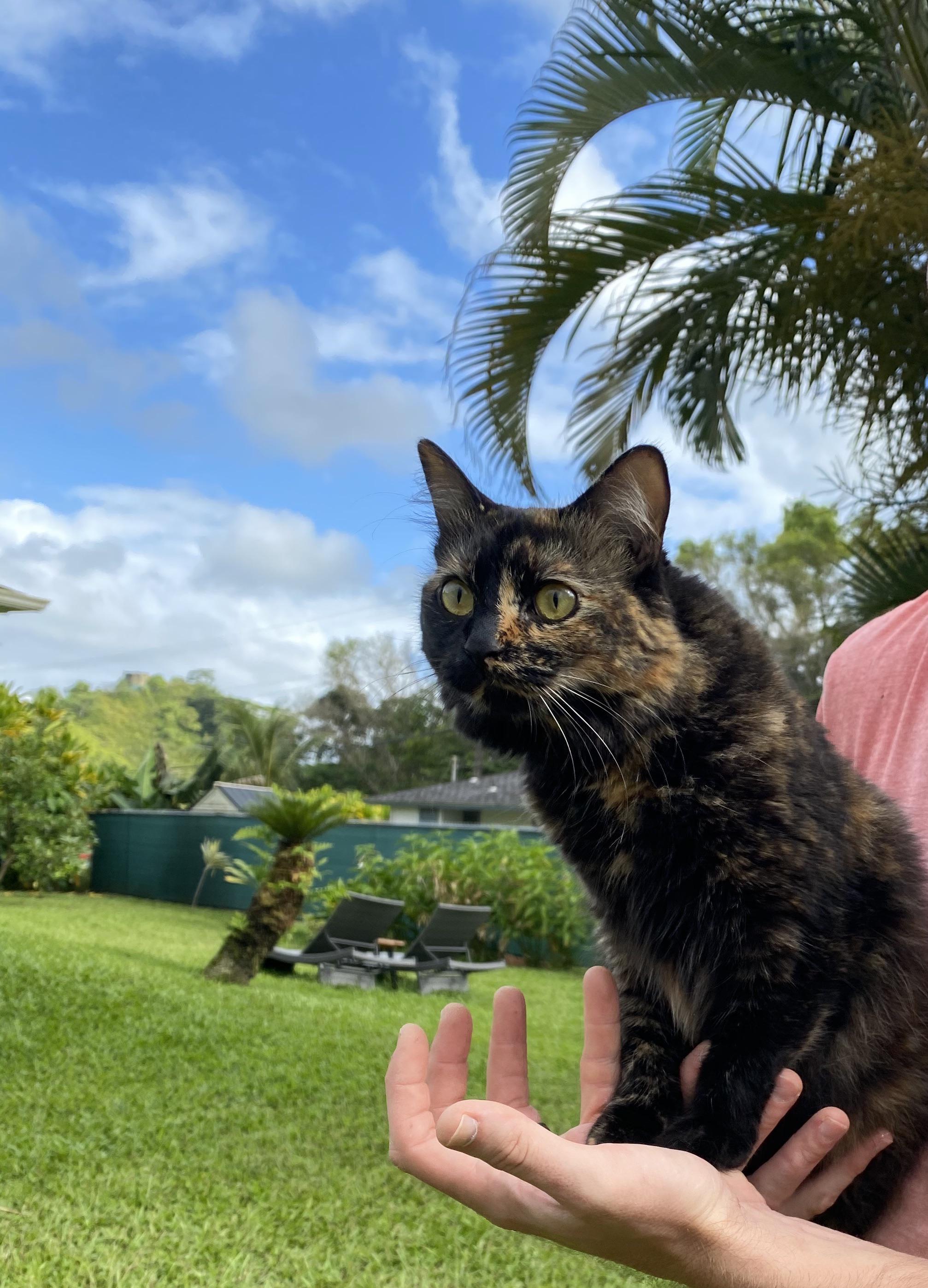 Supervised outdoor adventure | Scrolller